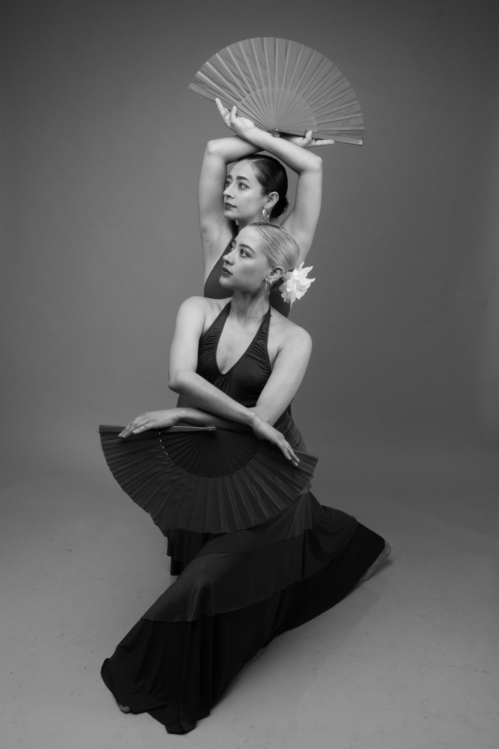 Fan Images Photos, Download The BEST Free Fan Images Stock Photos & HD ...