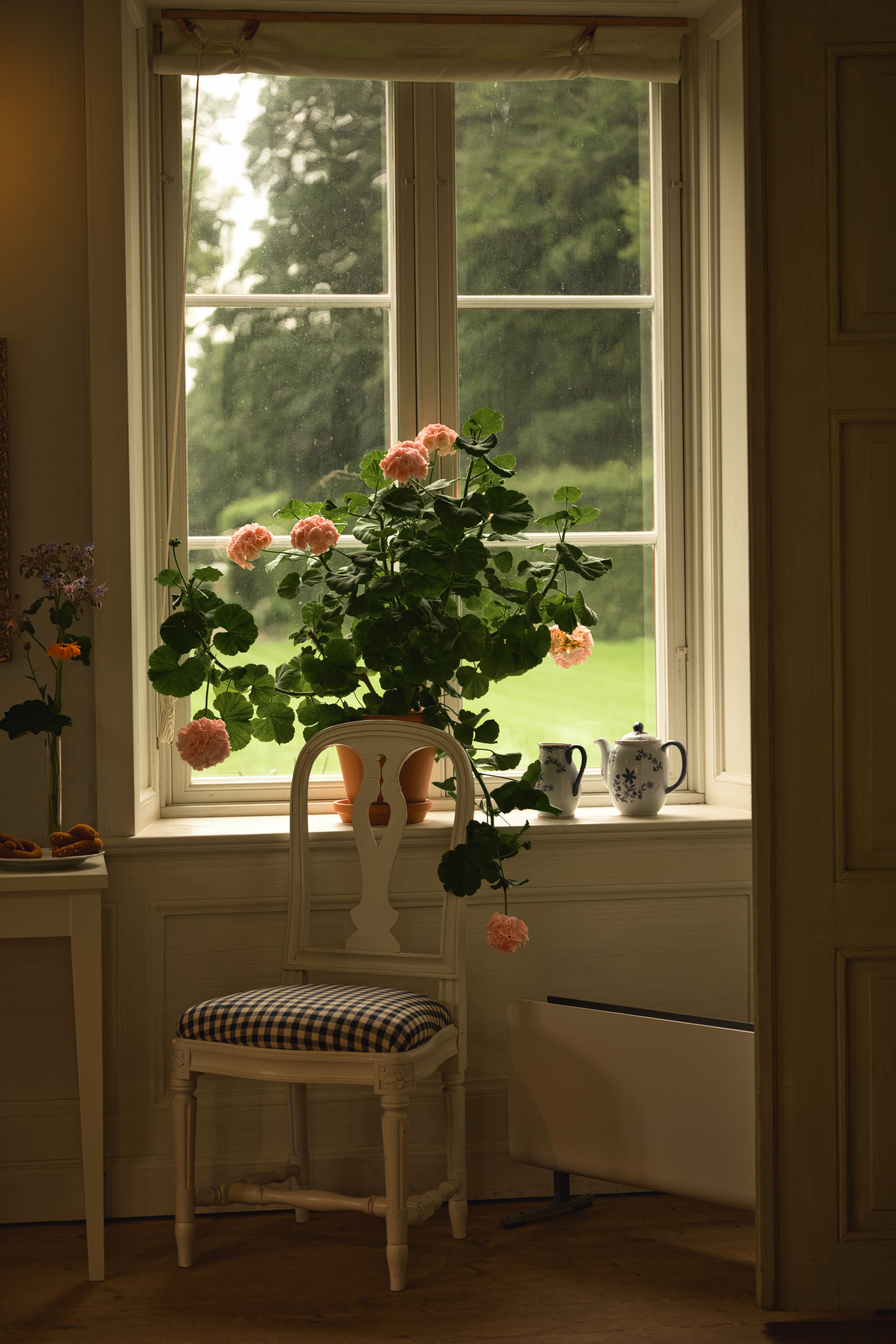Charming Window View with Blooming Roses · Free Stock Photo