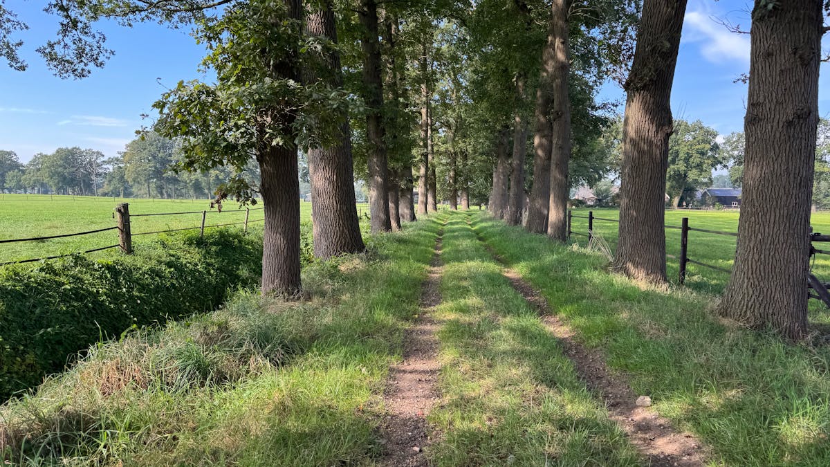 Tree Line Photos, Download The BEST Free Tree Line Stock Photos & HD Images