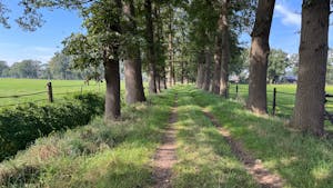 Tree Line Photos, Download The BEST Free Tree Line Stock Photos & HD Images