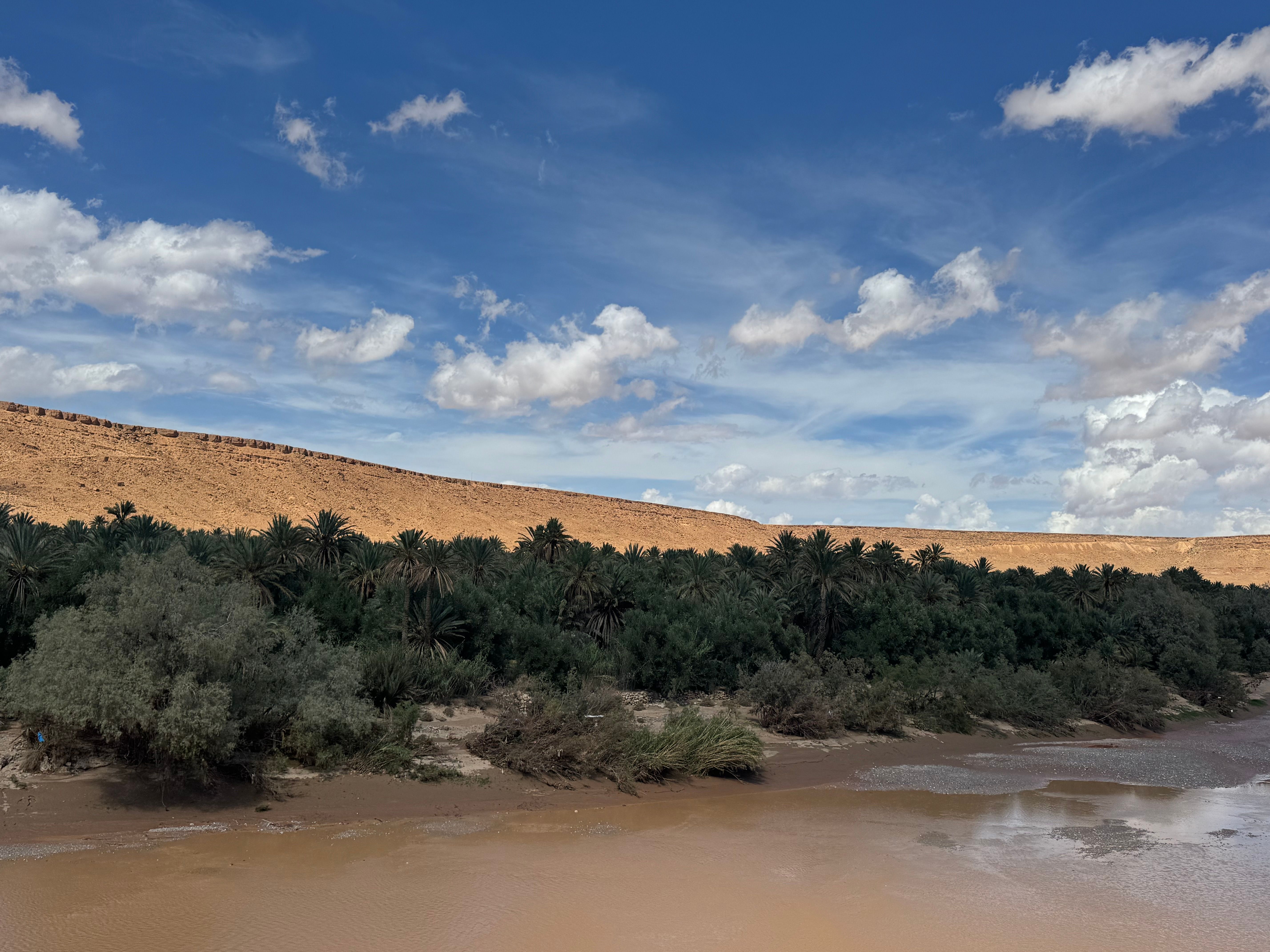 Scenic View of Oasis in Moroccan Desert Landscape · Free Stock Photo