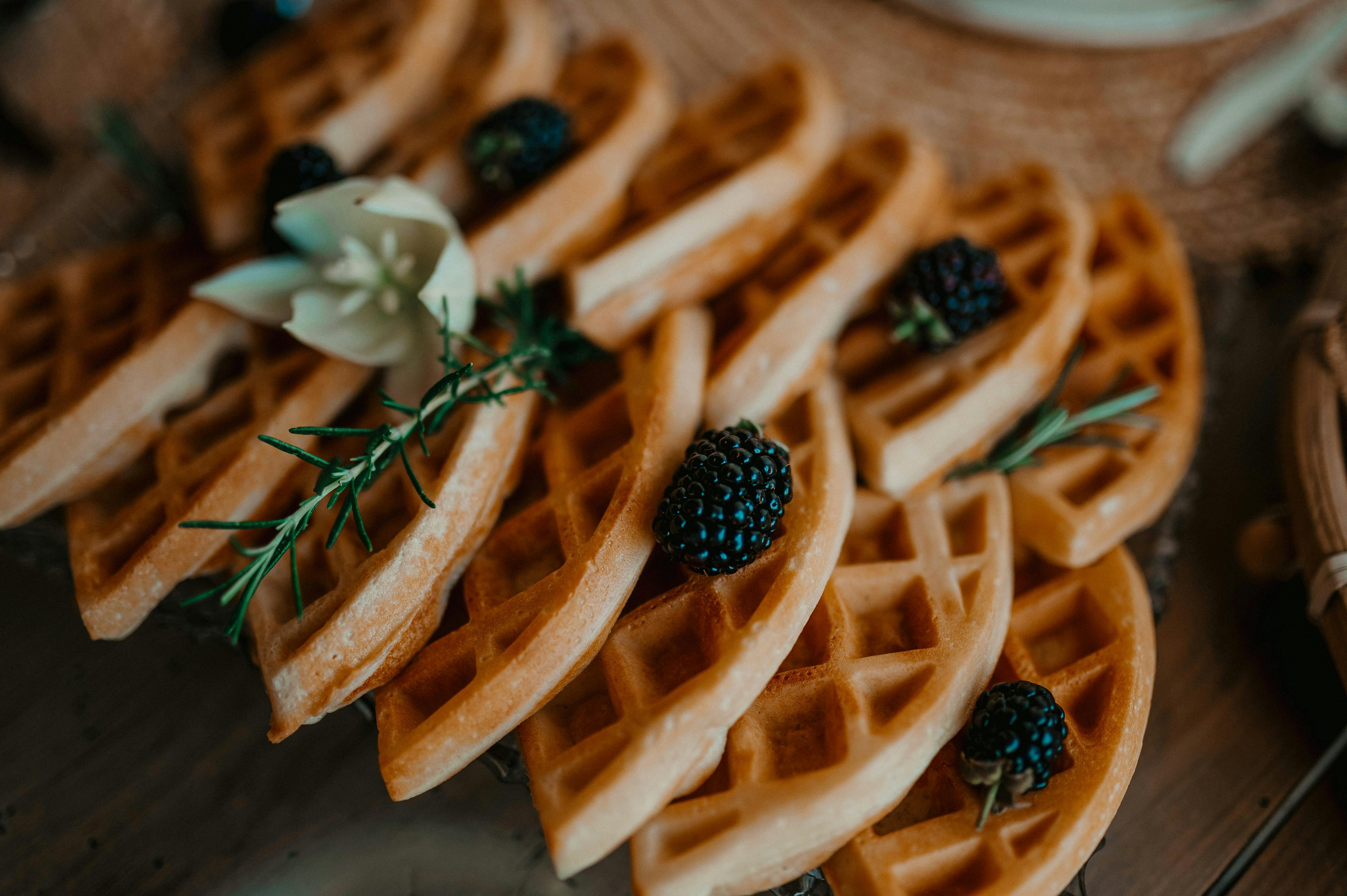 Golden Waffles with Blackberries and Rosemary Garnish · Free Stock Photo