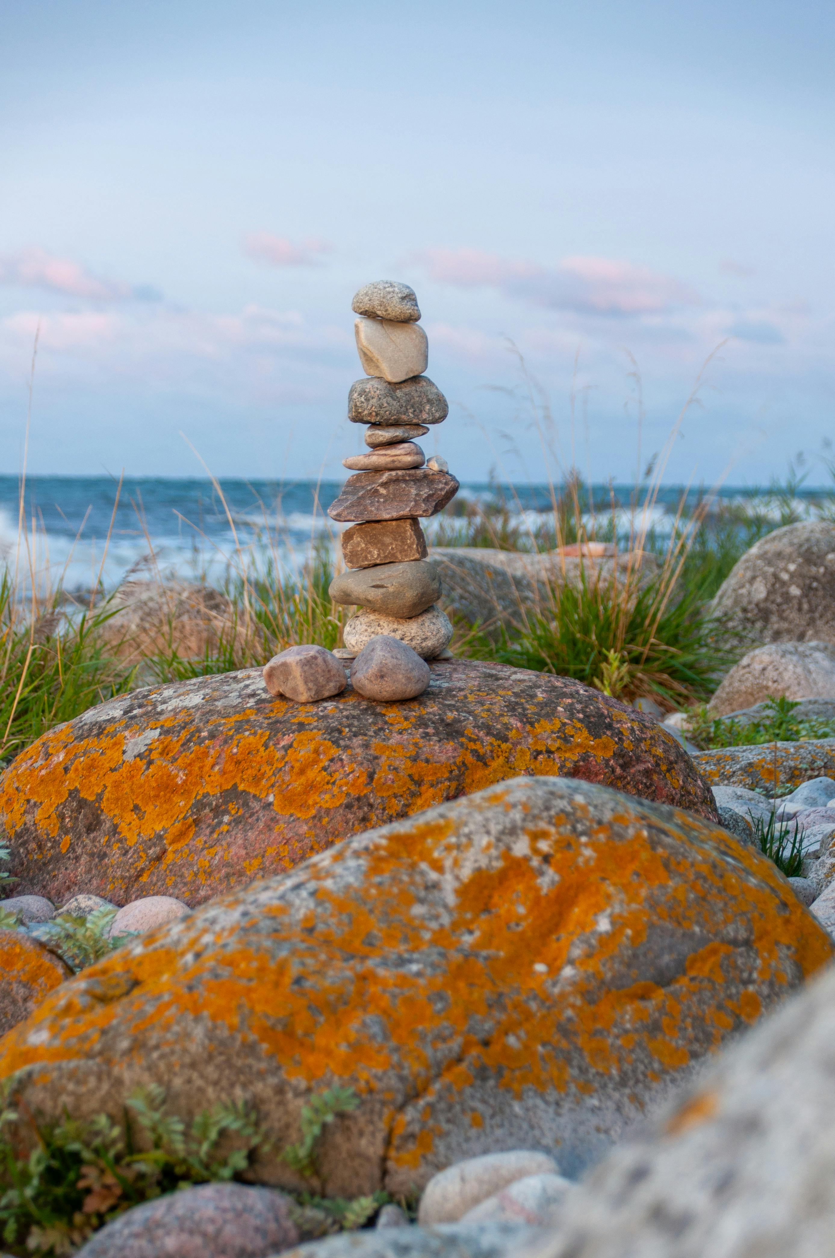 Zen Rust Photos, Download The BEST Free Zen Rust Stock Photos & HD Images