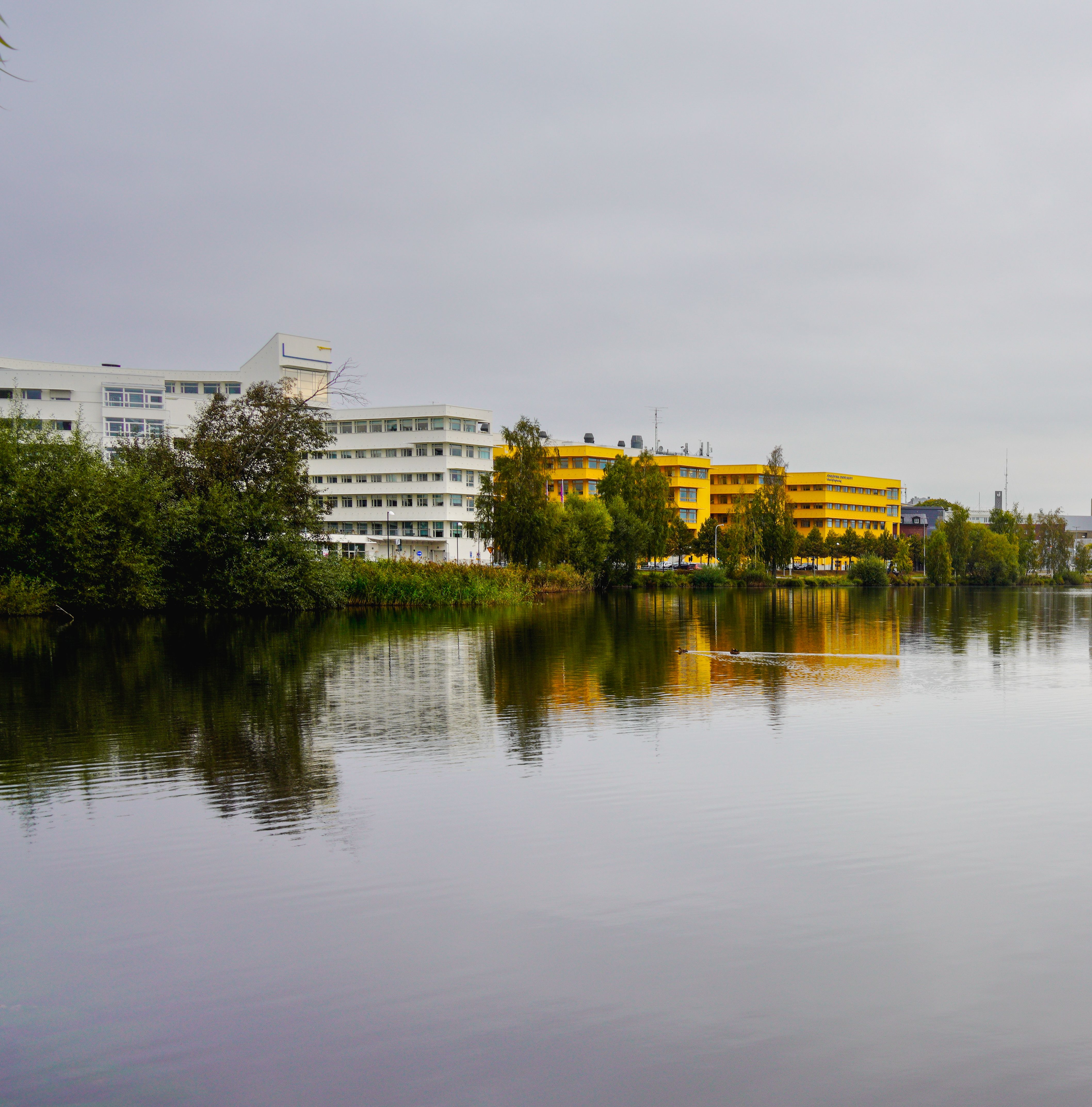 Scenic Urban Lakeside View with Modern Buildings · Free Stock Photo