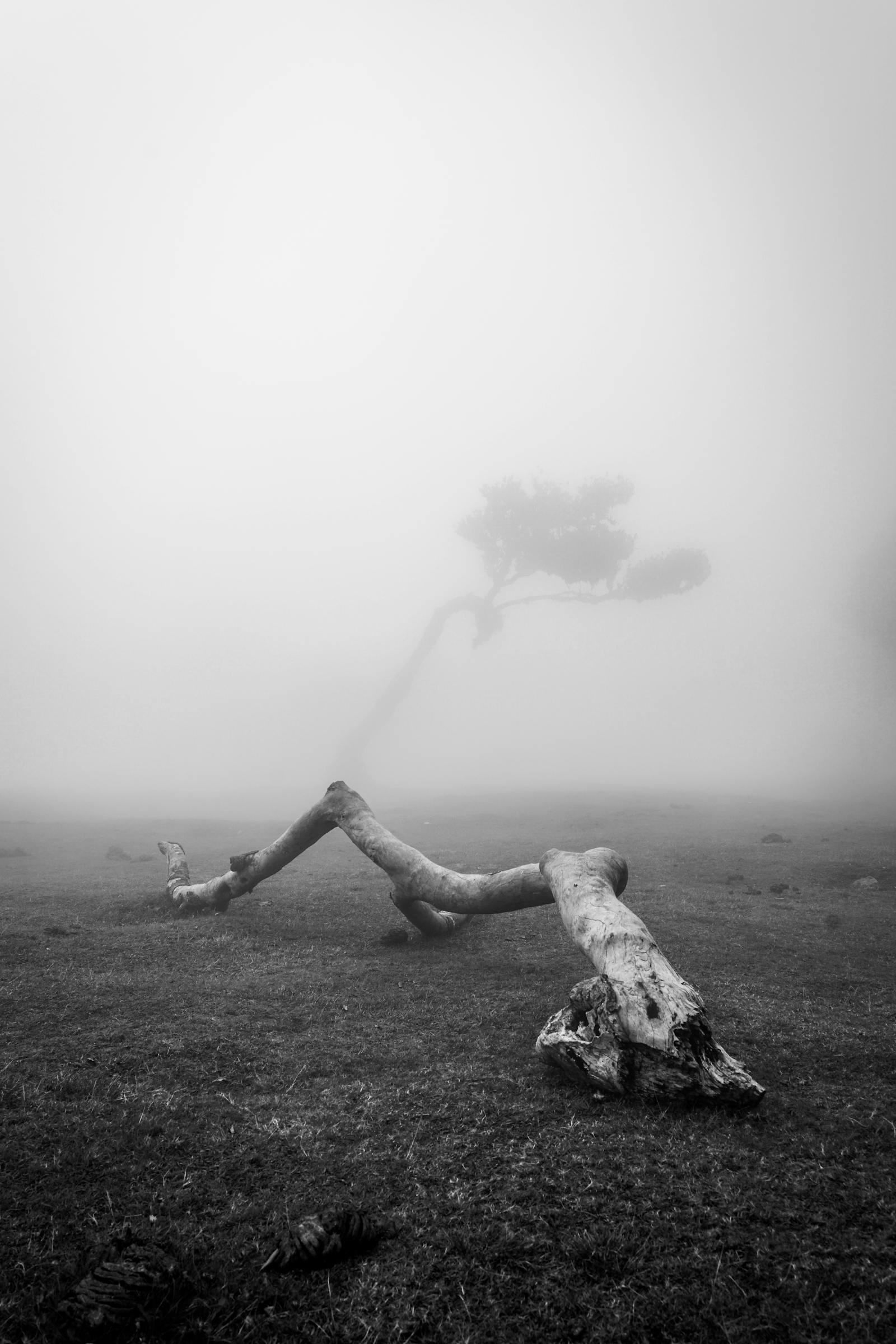 Nature Scene Photos, Download The BEST Free Nature Scene Stock Photos ...