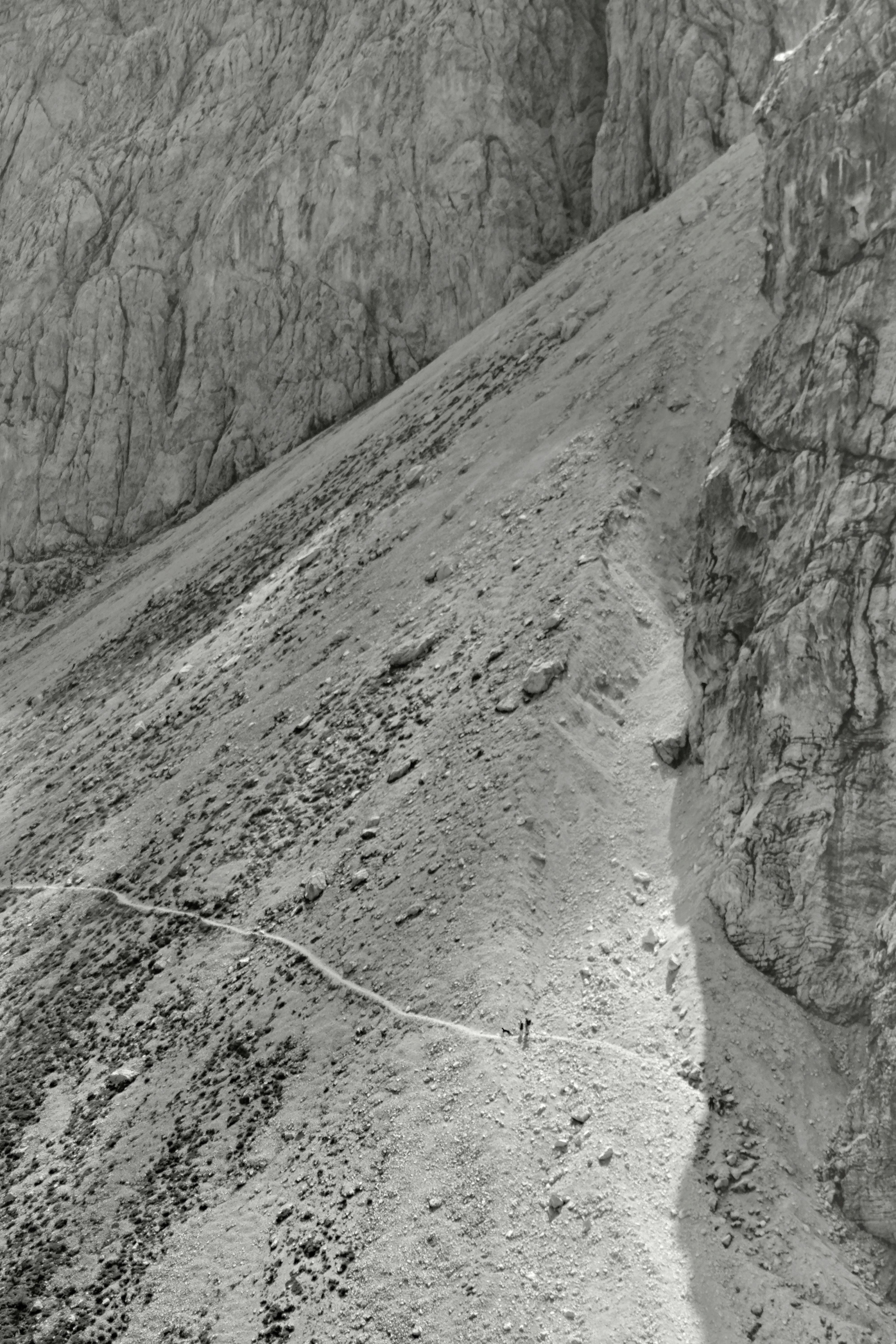 Big+Beautiful+Black+Women Photos, Download The BEST Free Big+Beautiful+Black+Women Stock Photos ...