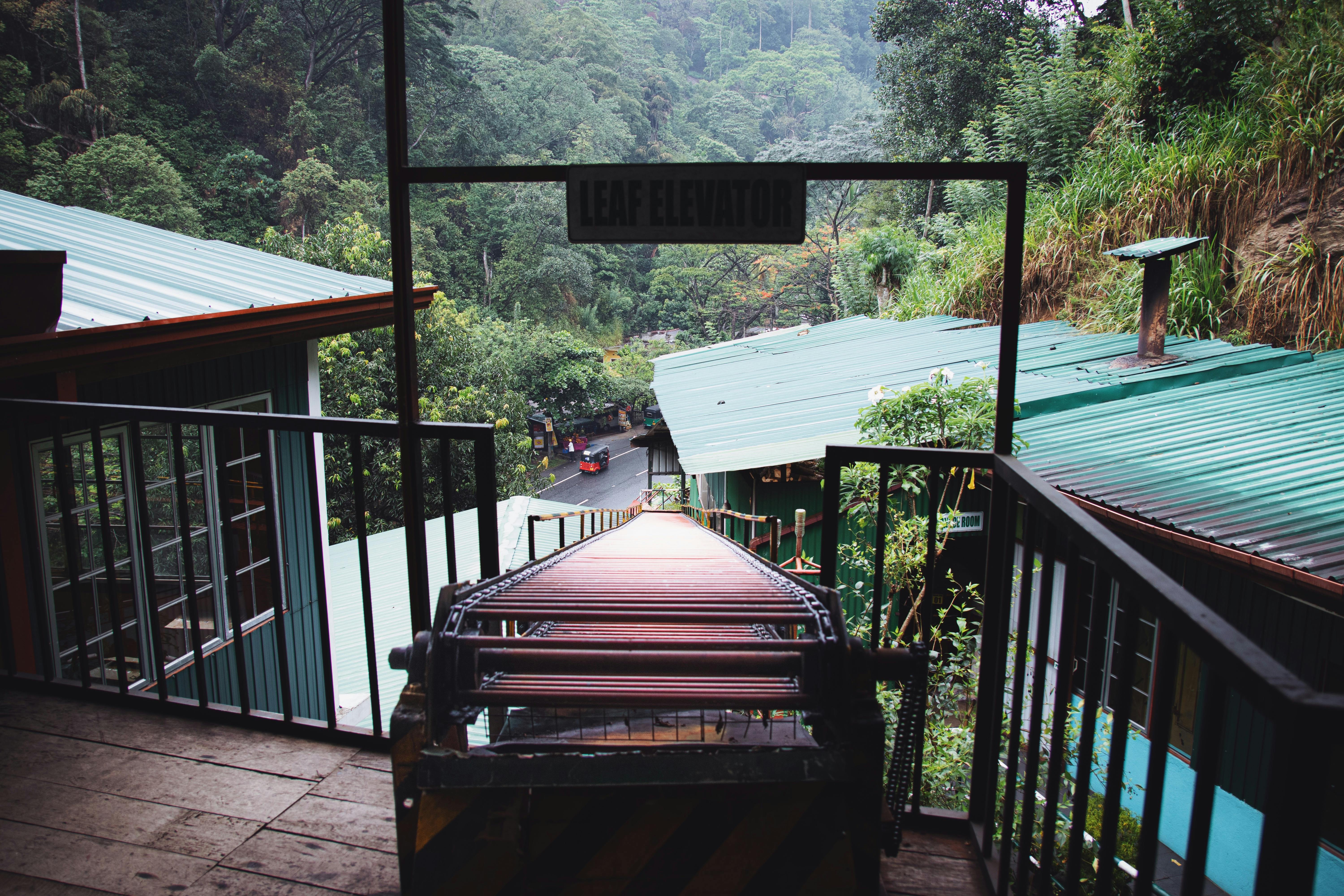 Rustic Leaf Elevator in Lush Forest Setting · Free Stock Photo