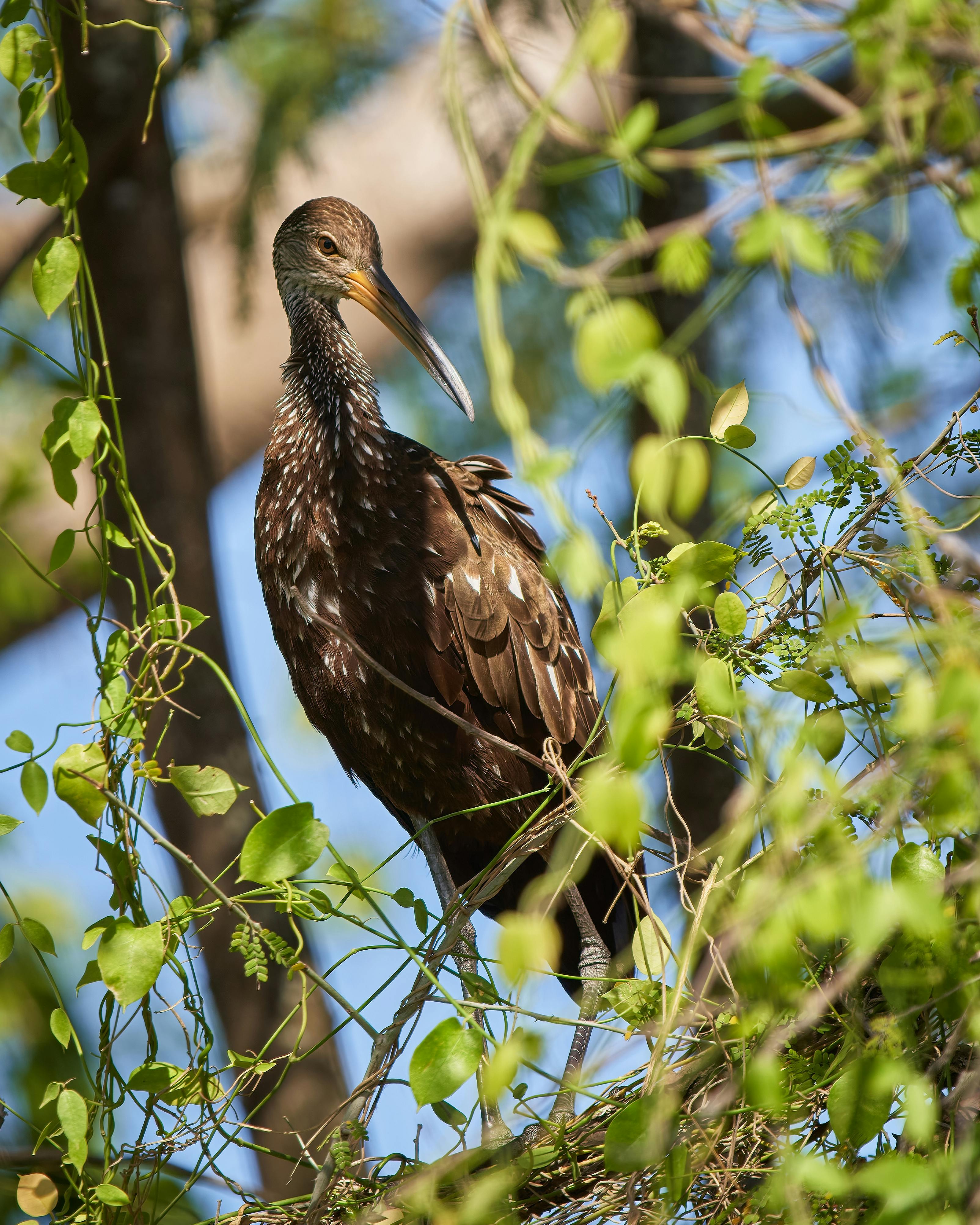 Horizontal Memes Photos, Download The BEST Free Horizontal Memes Stock ...