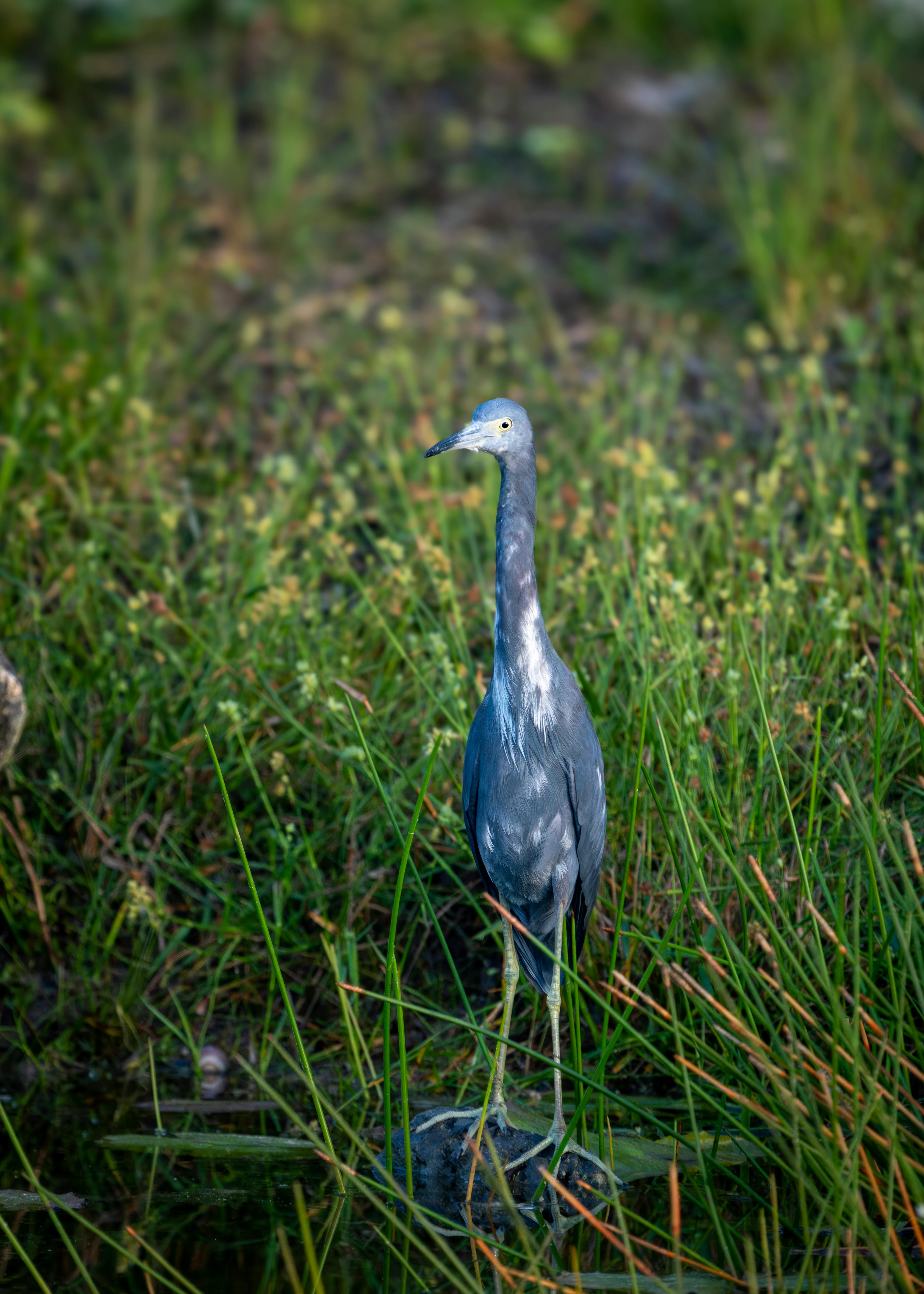 Ch?Q=B';&Form=Hdrschdrsc&Qs=N&Form=Qbre&Sp= 1&Lq=0&Pq Photos, Download ...