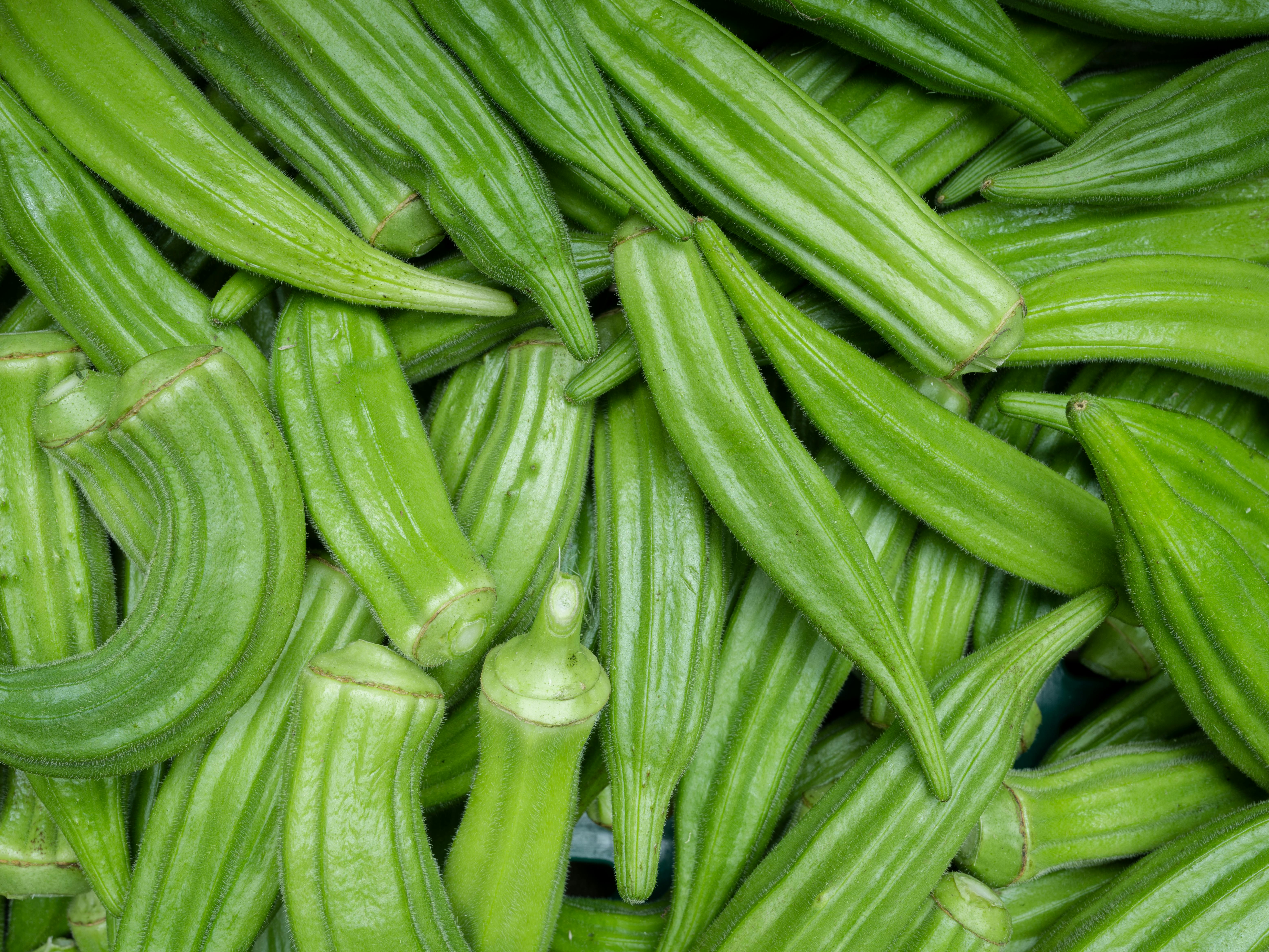 Okra Photos, Download The BEST Free Okra Stock Photos & HD Images