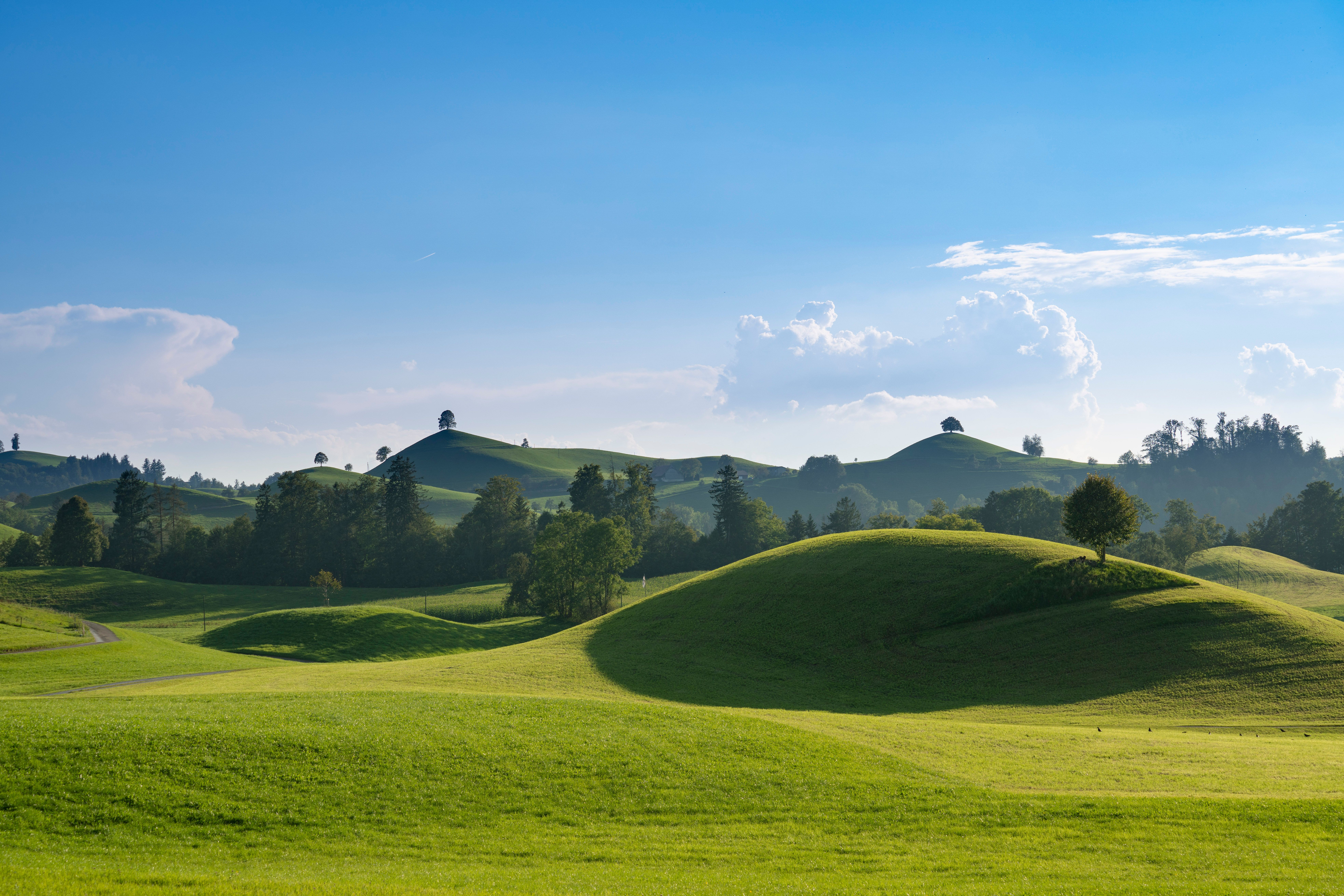 90,000+ Best Hill Photos · 100% Free Download · Pexels Stock Photos