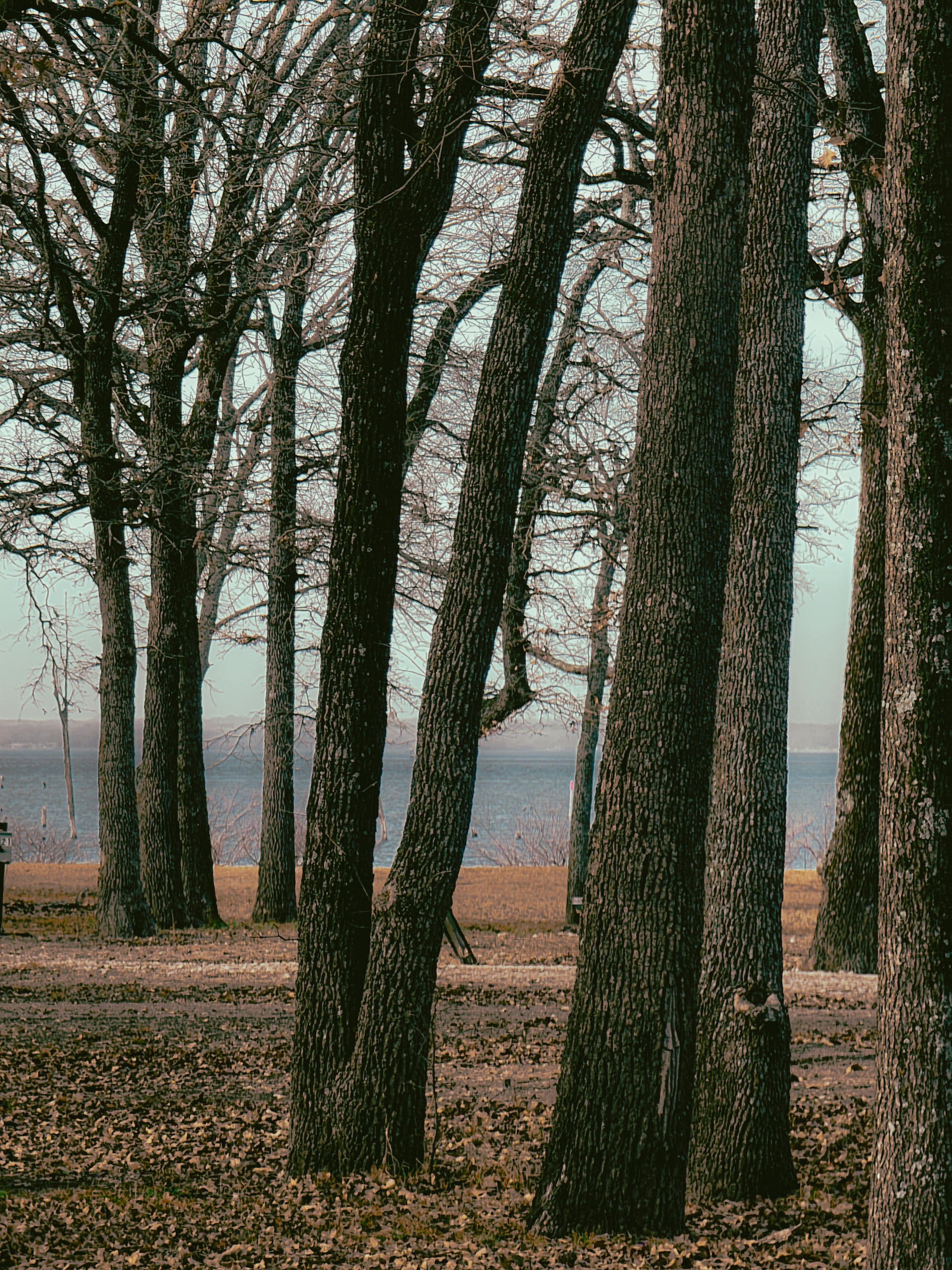 Clear Lake Texas Photos, Download The BEST Free Clear Lake Texas Stock ...