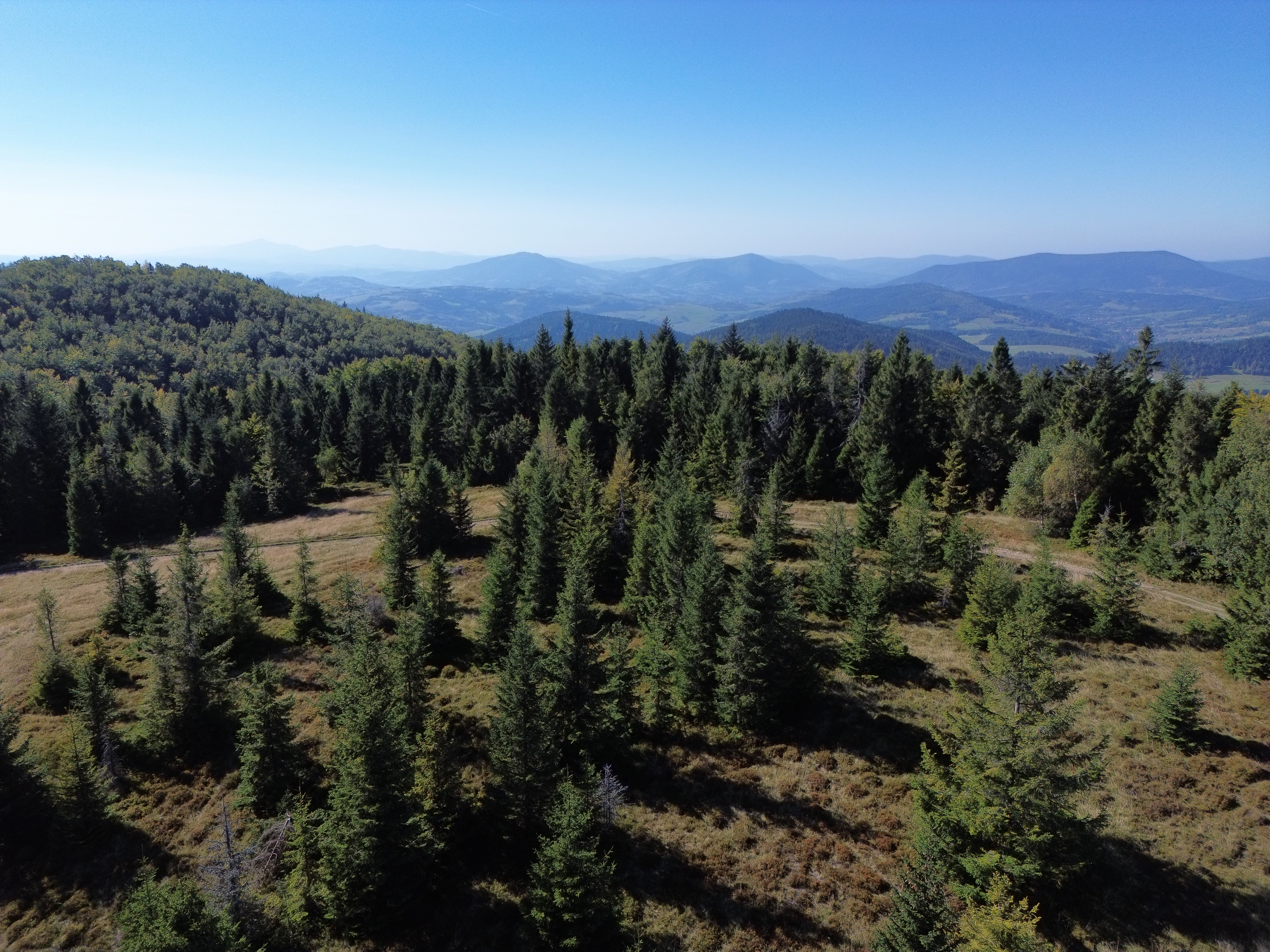 Aerial View of Scenic Mountainous Forest Landscape · Free Stock Photo