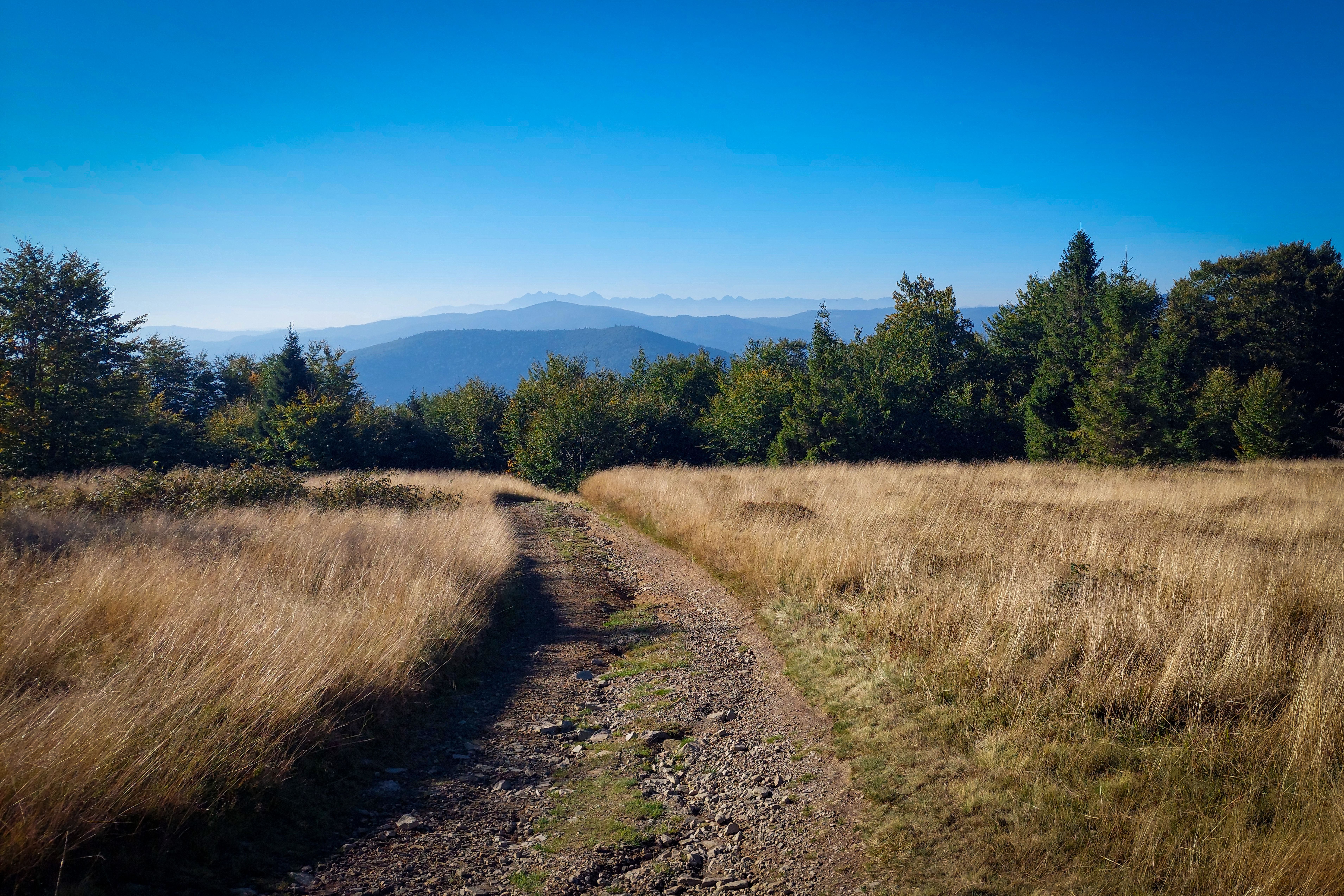 Tranquil Mountain Path Under Clear Blue Sky · Free Stock Photo