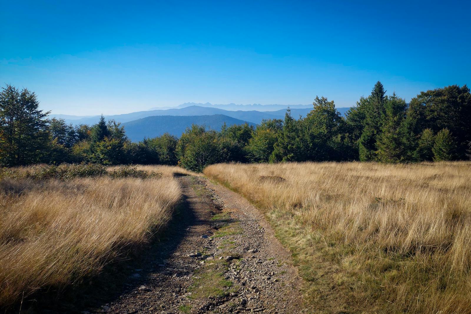 Autumn Path Photos, Download The BEST Free Autumn Path Stock Photos ...
