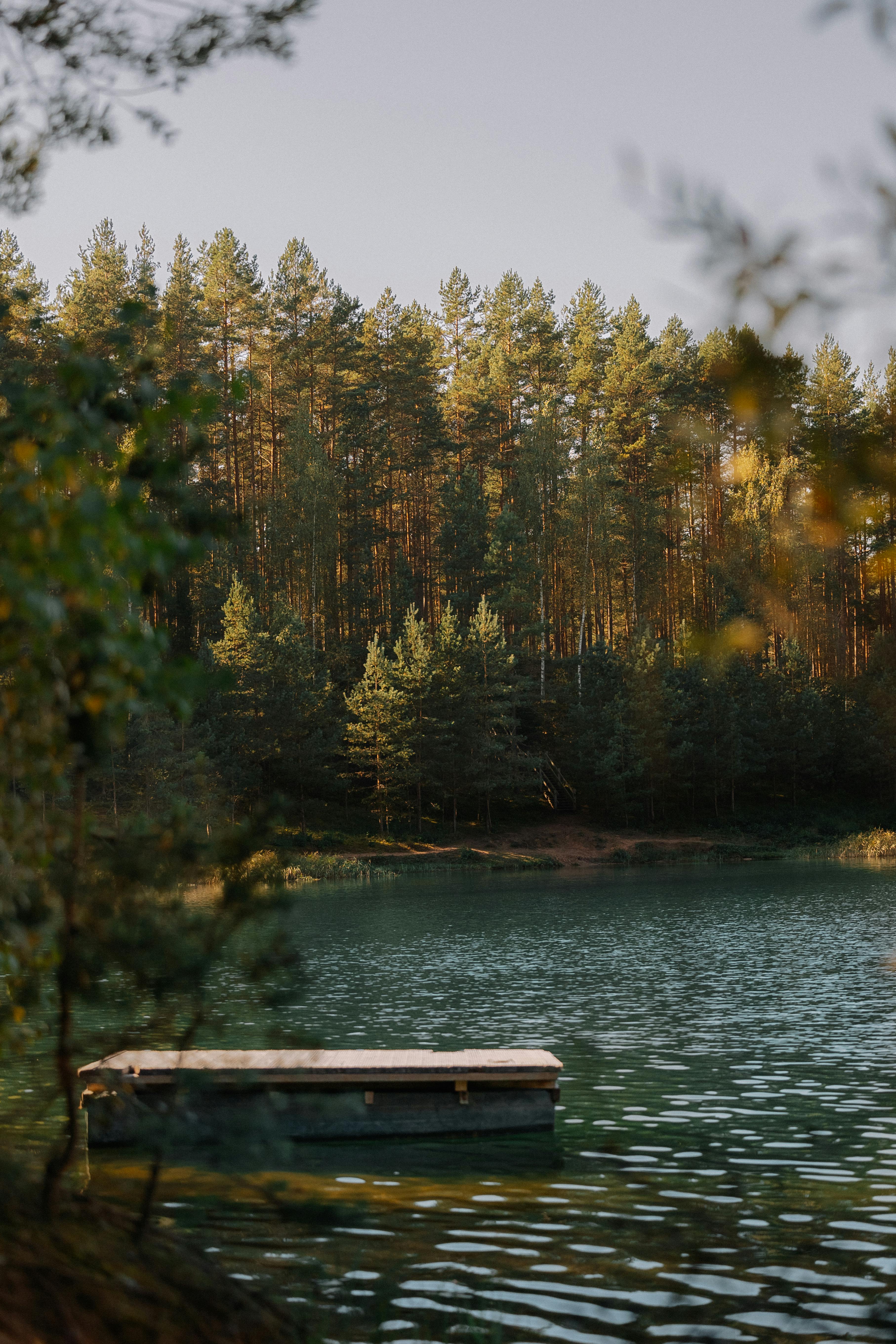 Tranquil Forest Lake Scene at Sunset · Free Stock Photo