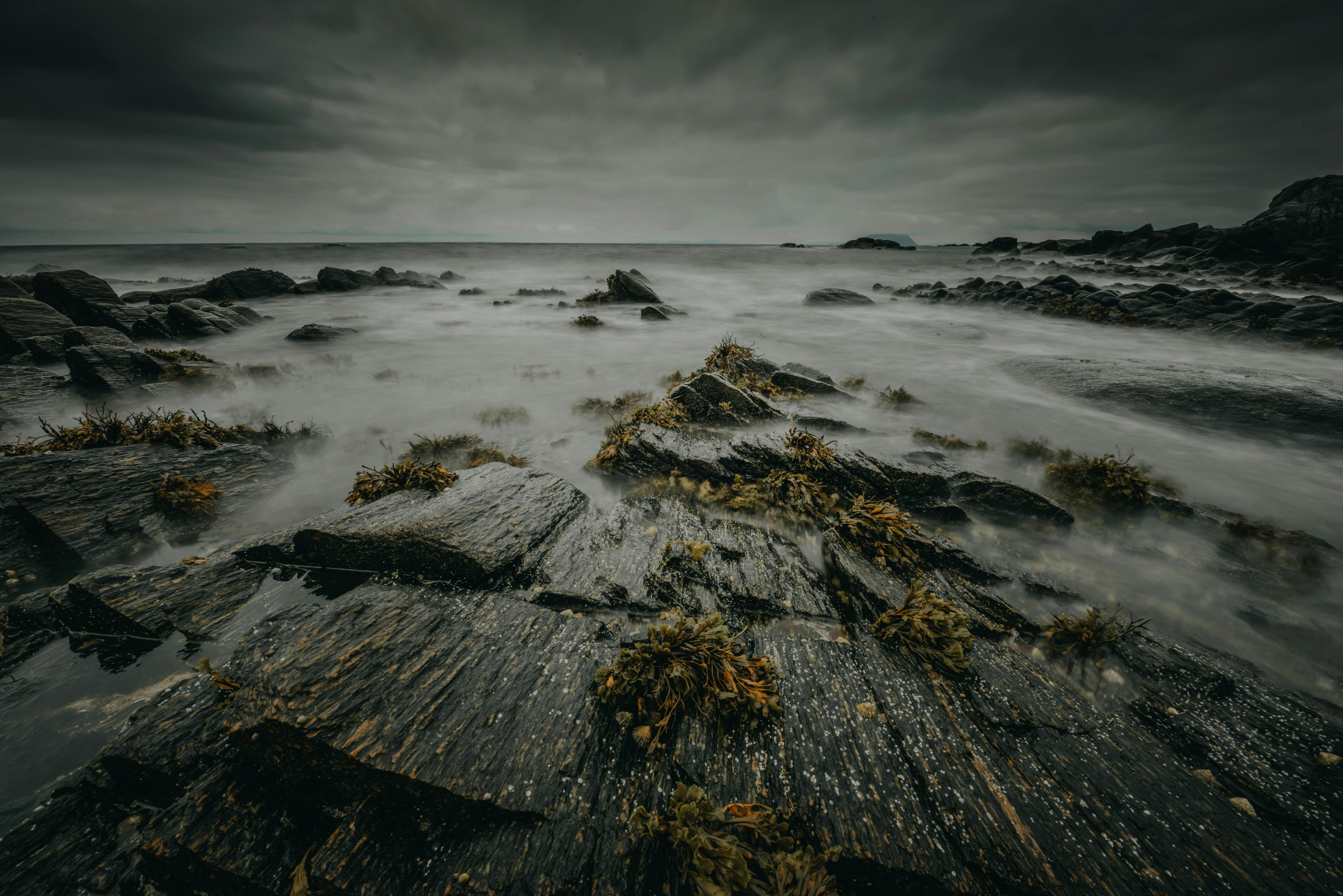 Grayscale Photography of Seashore · Free Stock Photo