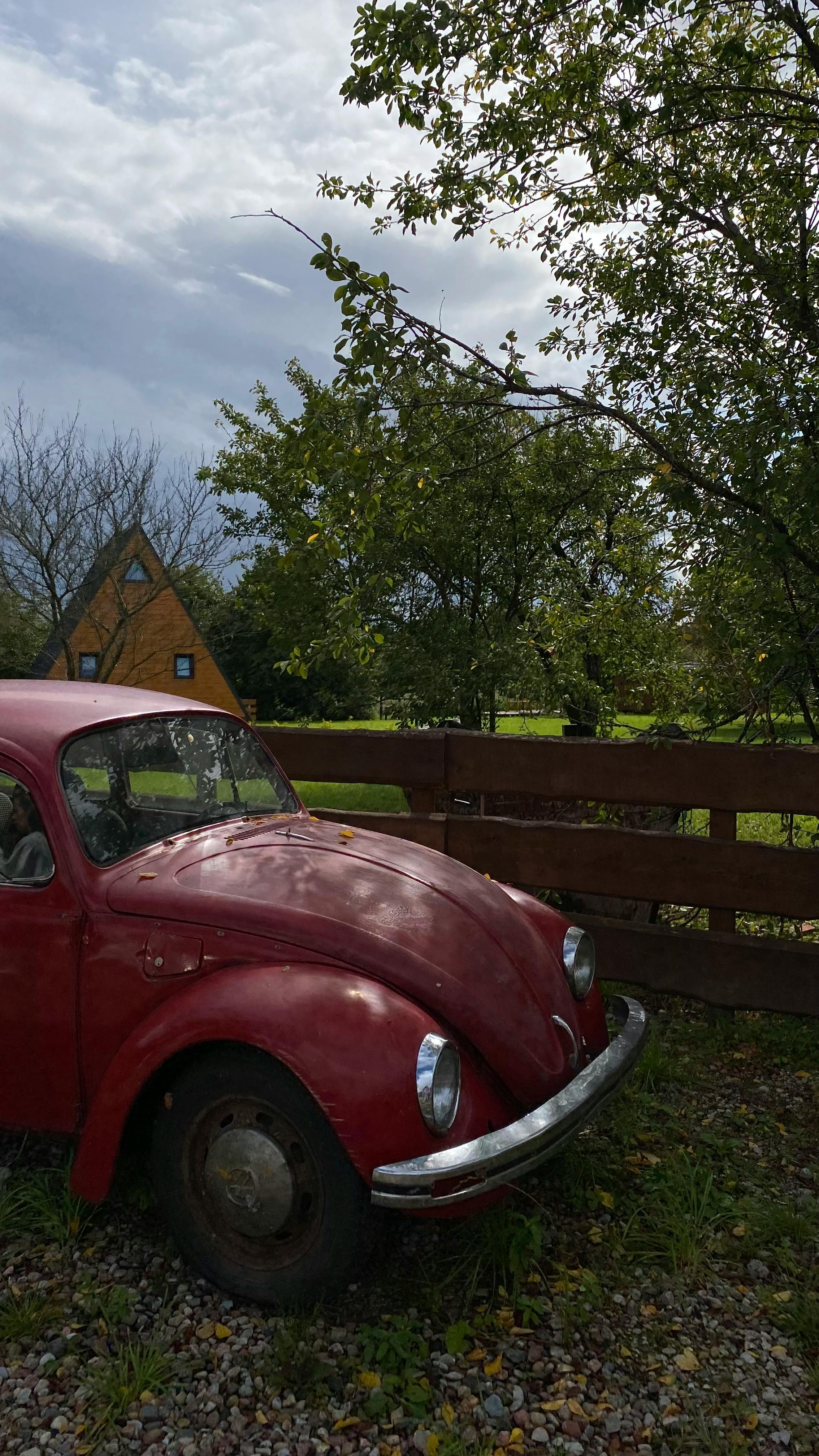 Vintage Red Beetle Car in Rustic Countryside Setting · Free Stock Photo