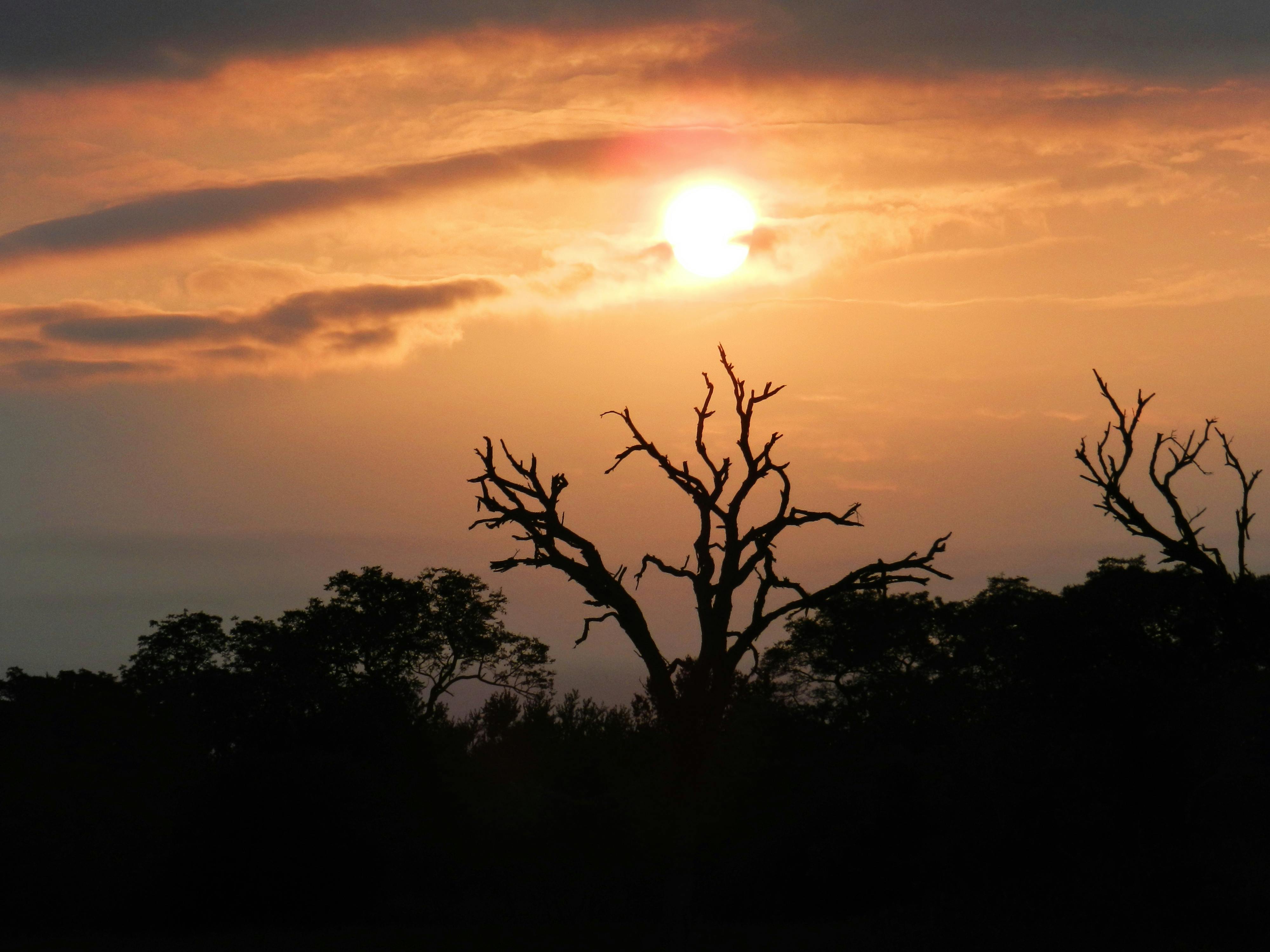 Ecological Photos, Download The BEST Free Ecological Stock Photos & HD ...