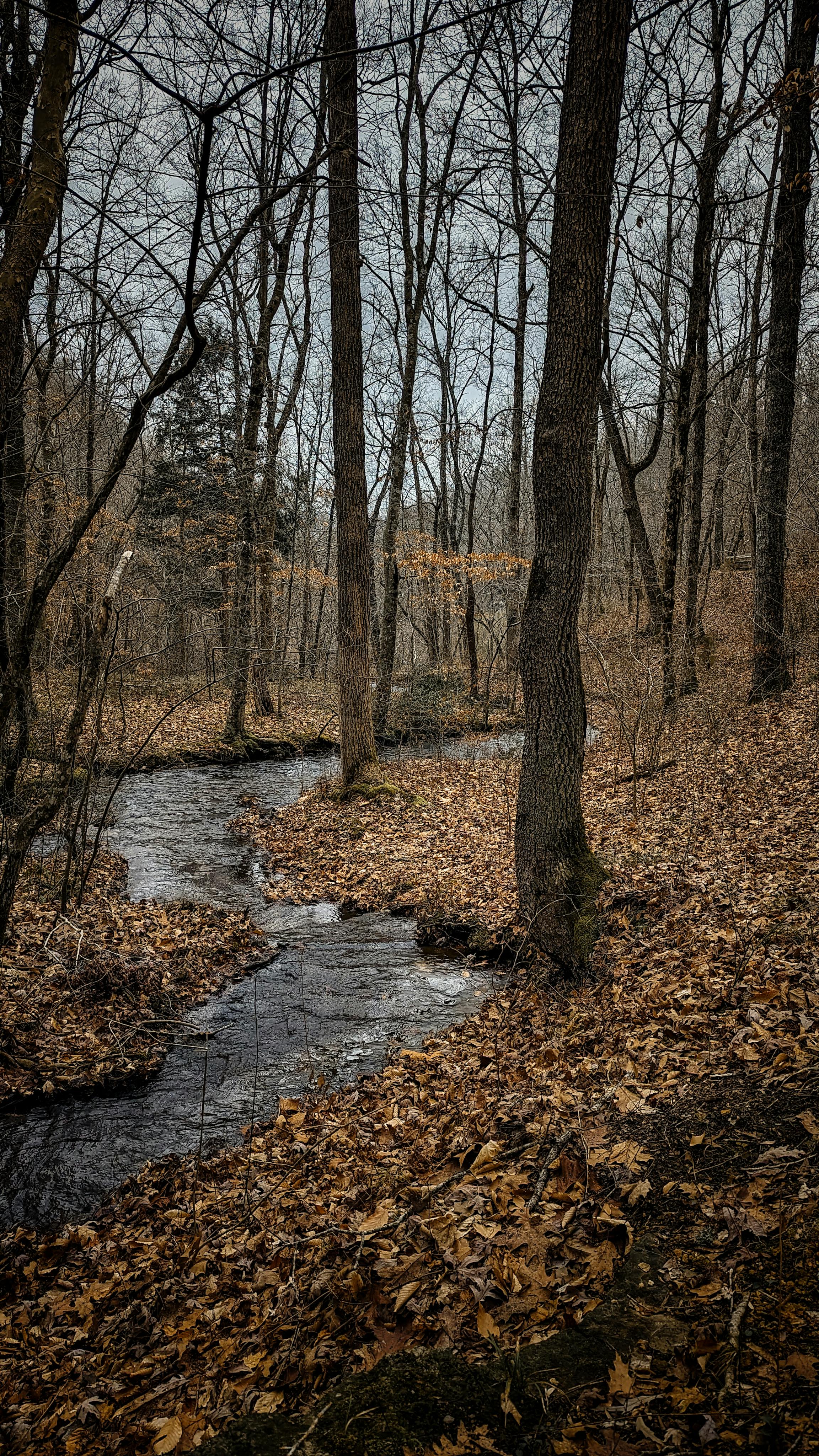 Quiet Creek Photos, Download The BEST Free Quiet Creek Stock Photos & HD Images