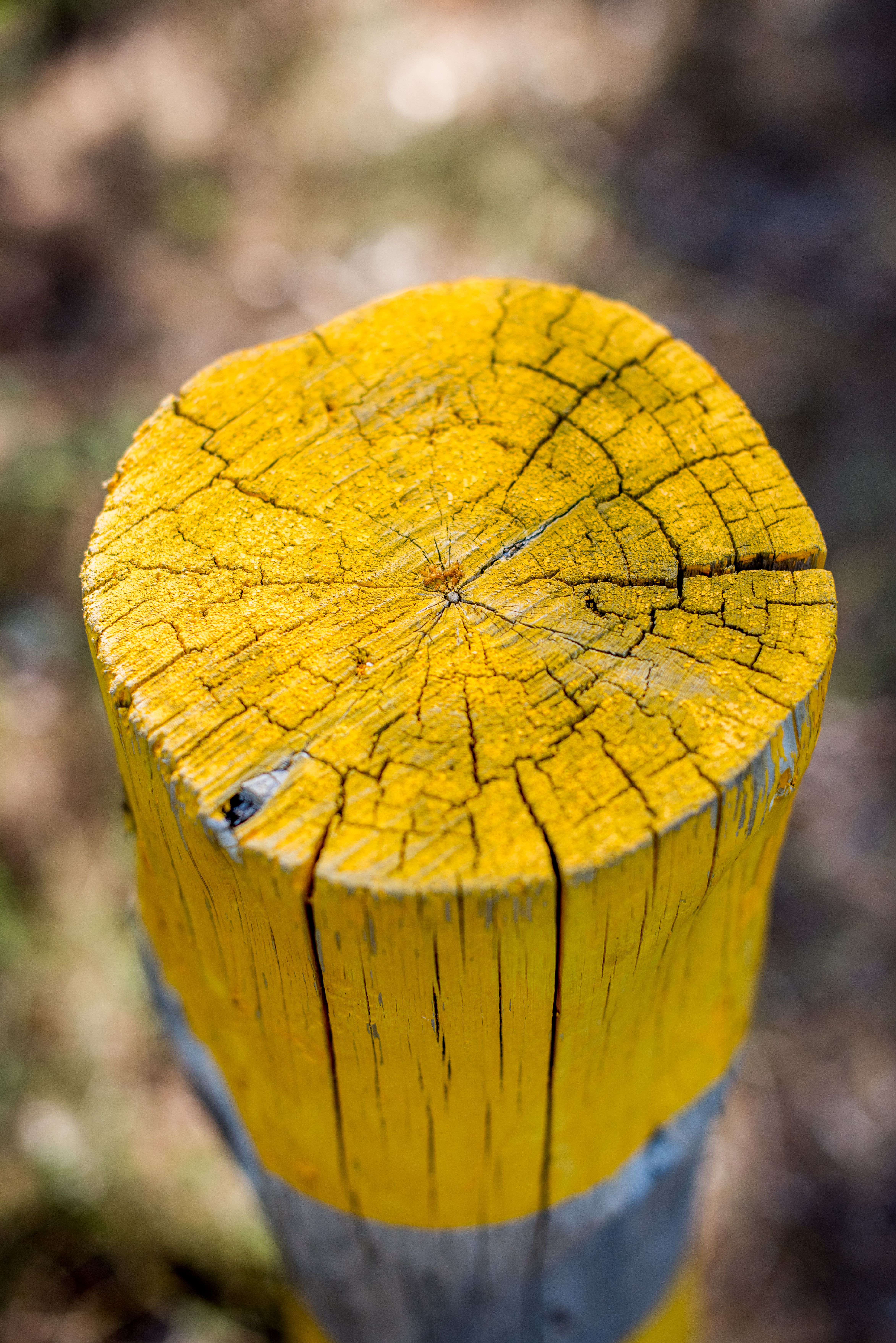 Close-up of Weathered Yellow Painted Wooden Post · Free Stock Photo