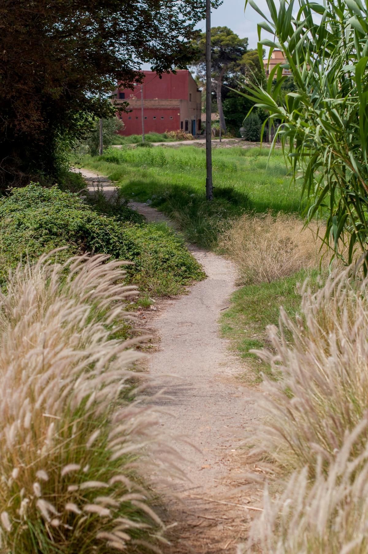 Dirt Path Photos, Download The BEST Free Dirt Path Stock Photos & HD Images