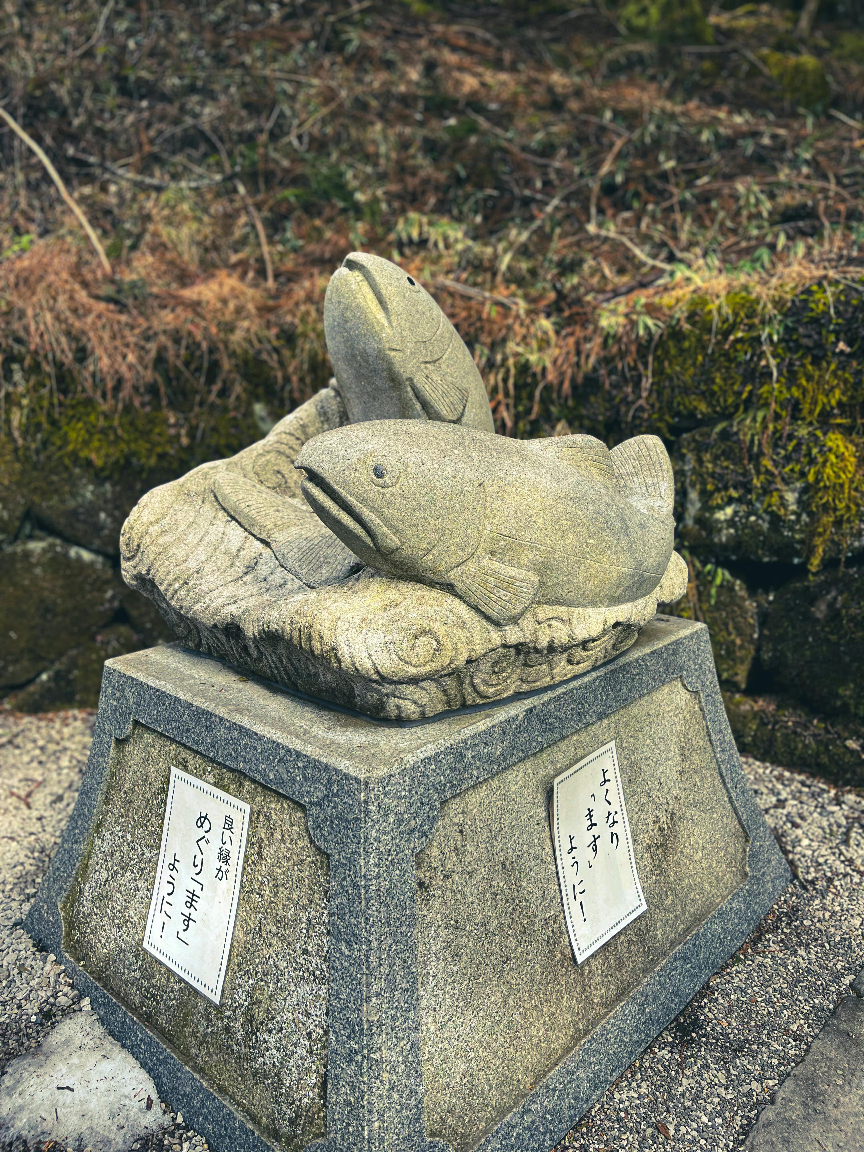 Stone Fish Sculpture in Natural Setting · Free Stock Photo