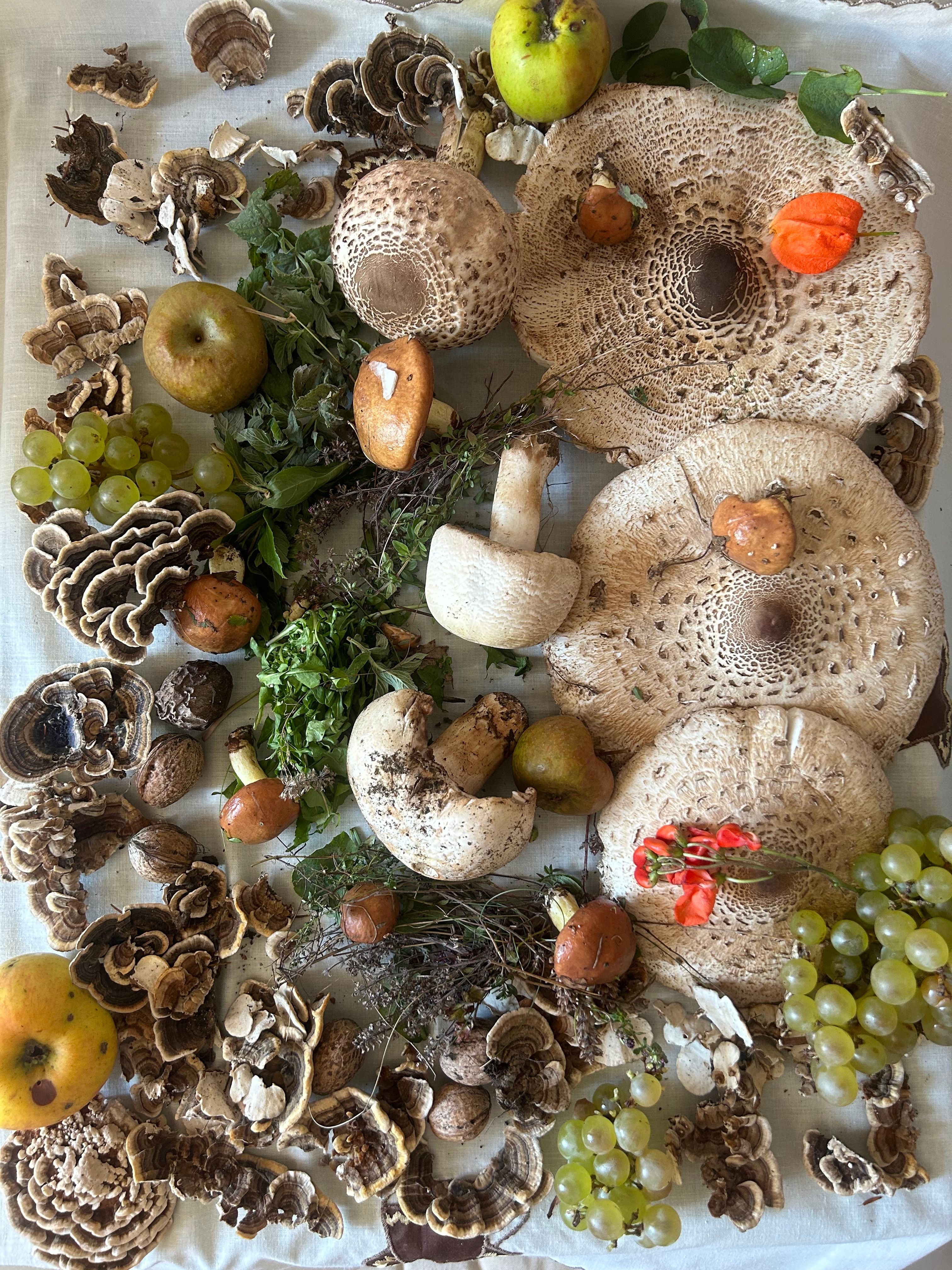 Autumn Harvest Flat Lay with Mushrooms and Fruits · Free Stock Photo