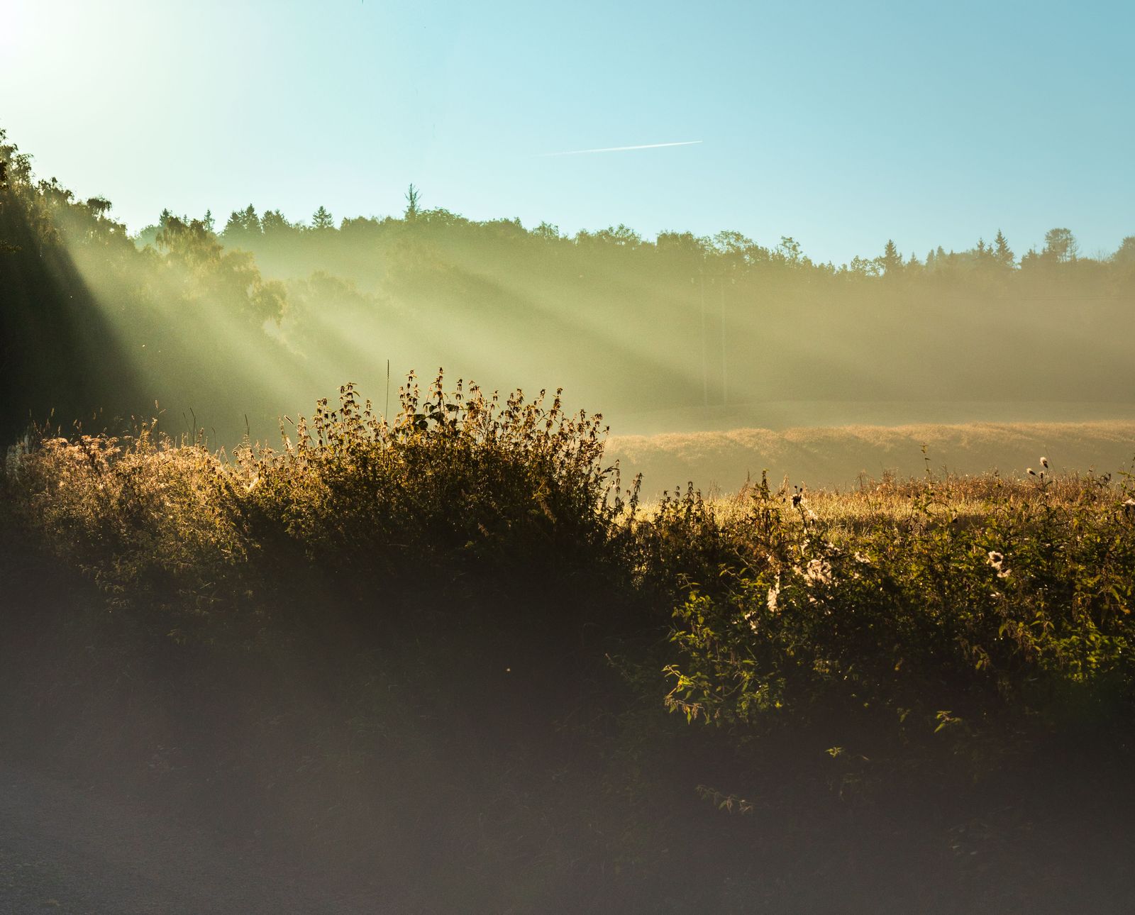 Sun Rays Photos, Download The BEST Free Sun Rays Stock Photos & HD Images
