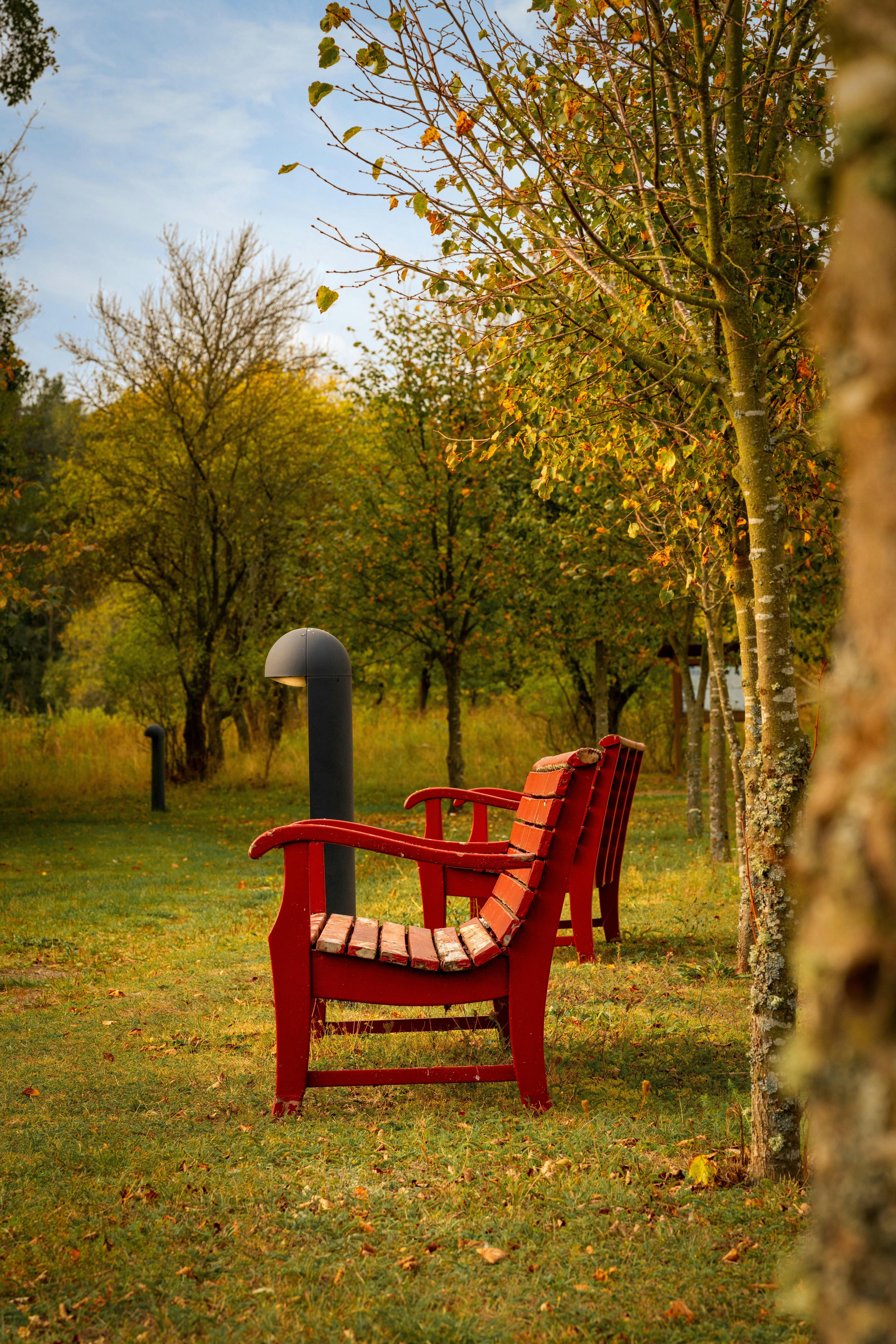 Red Benches in Scenic Autumn Park · Free Stock Photo
