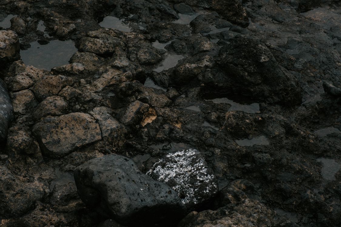 Rugged Volcanic Rock Texture in Nature · Free Stock Photo
