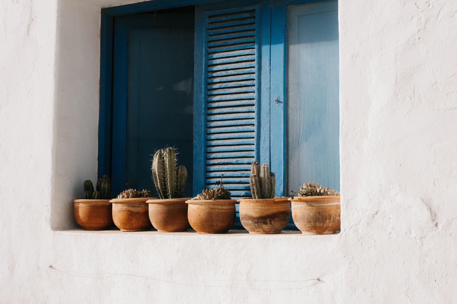 Plants Window Photos, Download The BEST Free Plants Window Stock Photos ...