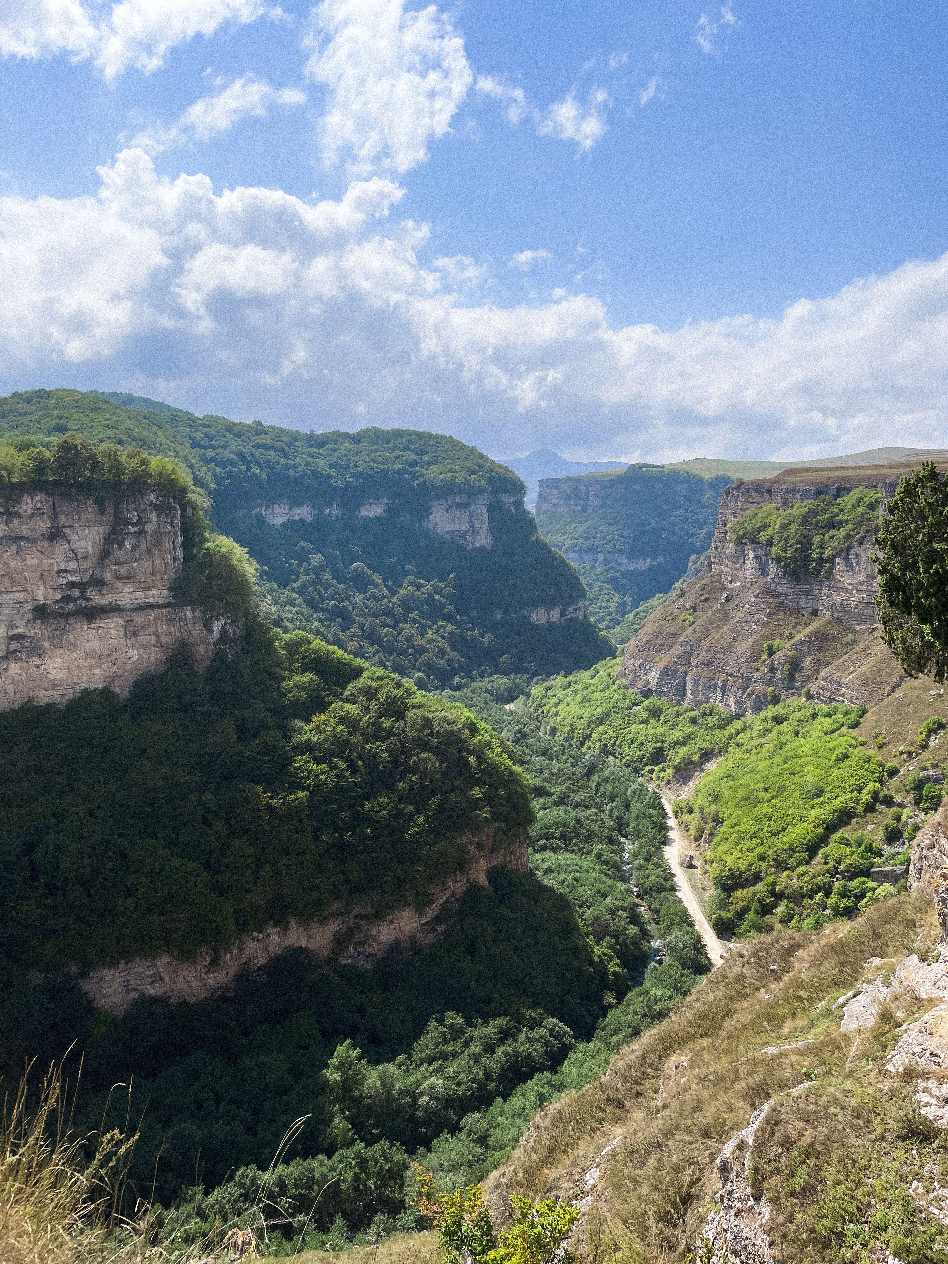 Breathtaking Canyon Landscape with Lush Greenery · Free Stock Photo