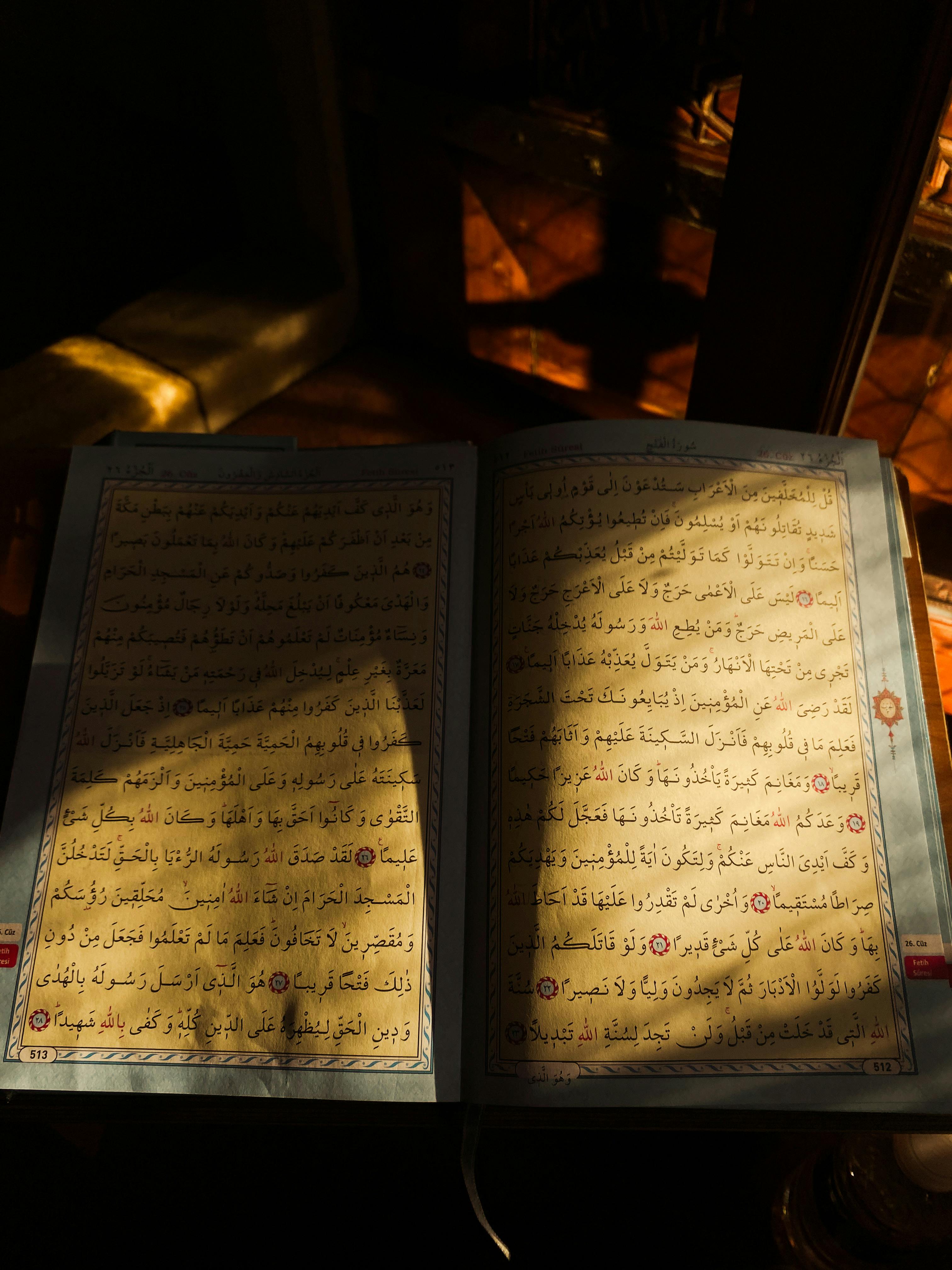 Open Quran in Warm Sunlight Setting · Free Stock Photo