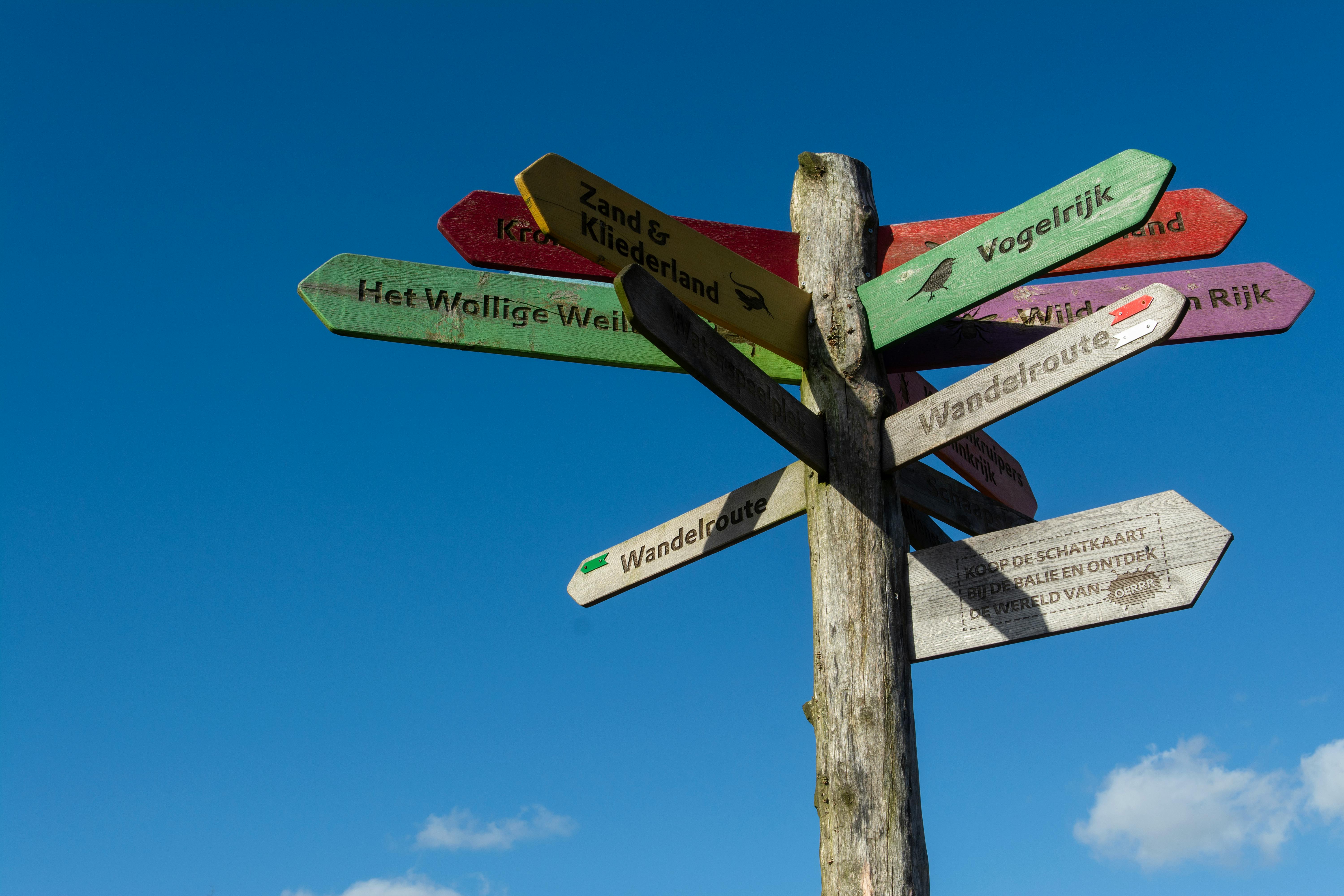 Colorful Directional Signpost Against Clear Sky · Free Stock Photo