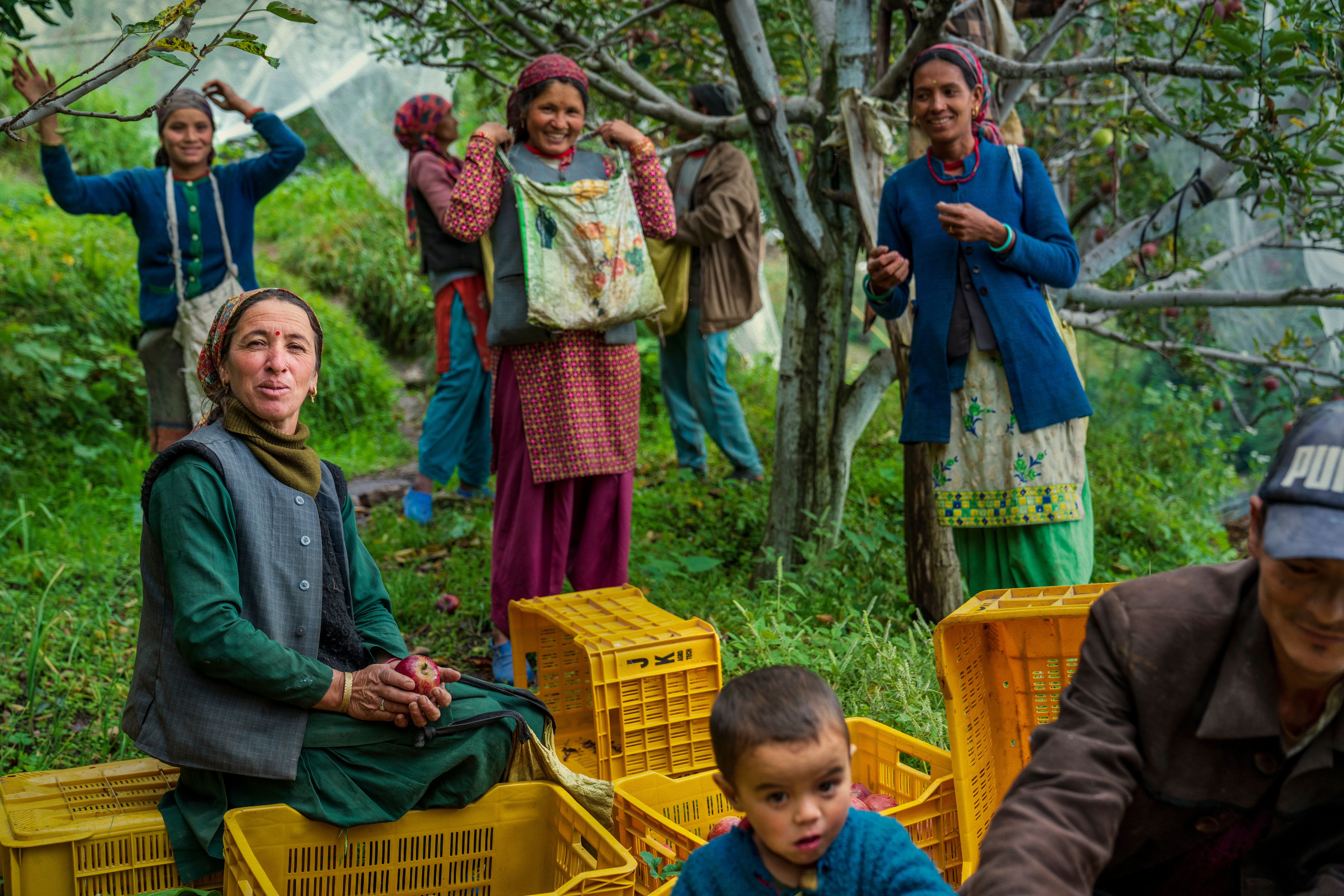 Community Gathering in Orchard with Harvest Baskets · Free Stock Photo