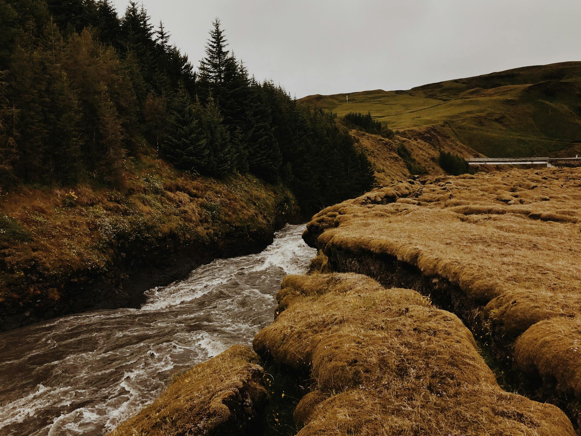 Water Stream Between Rocks Free Stock Photo water-stream-between-rocks-free-stock-photo