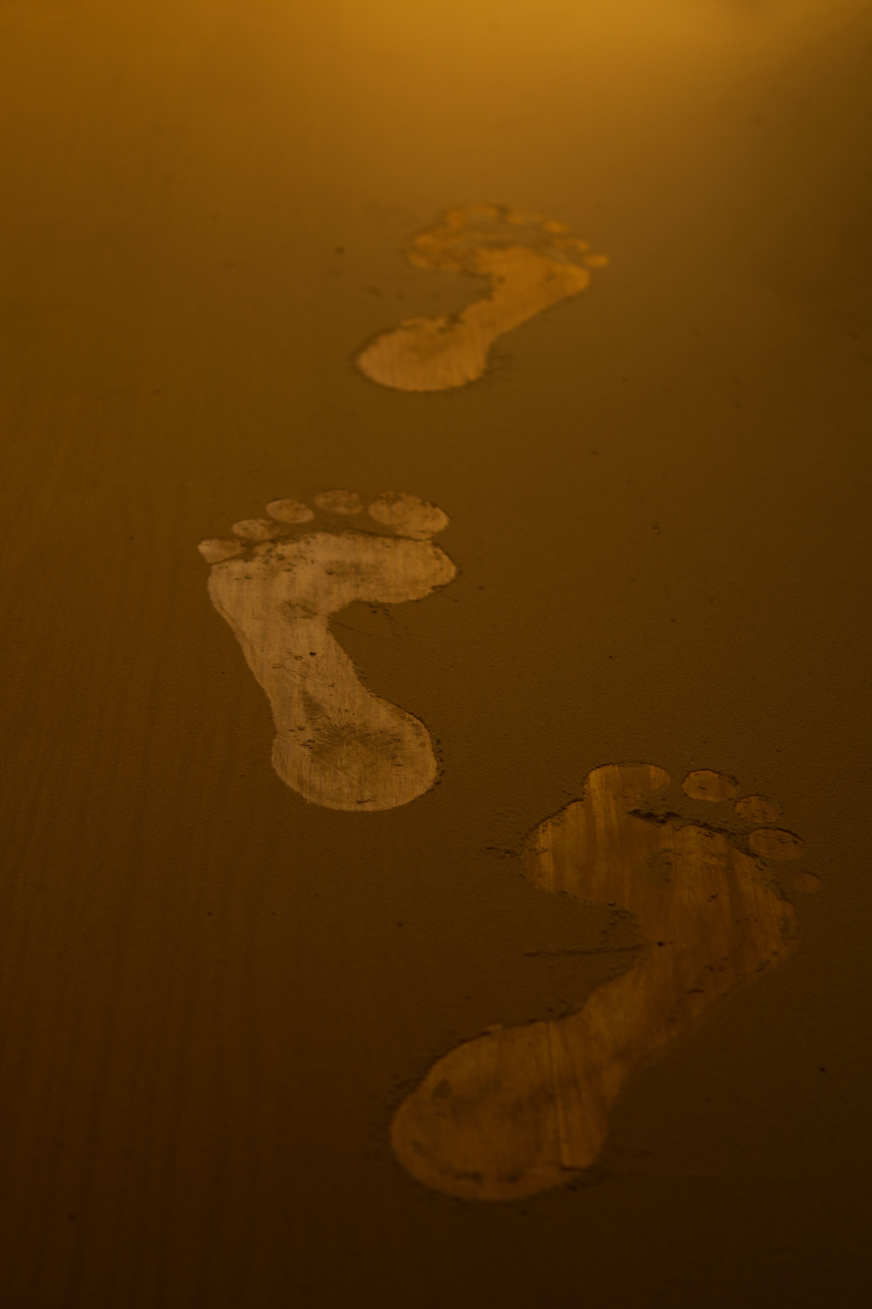 Absent Mark Photos, Download The BEST Free Absent Mark Stock Photos ...