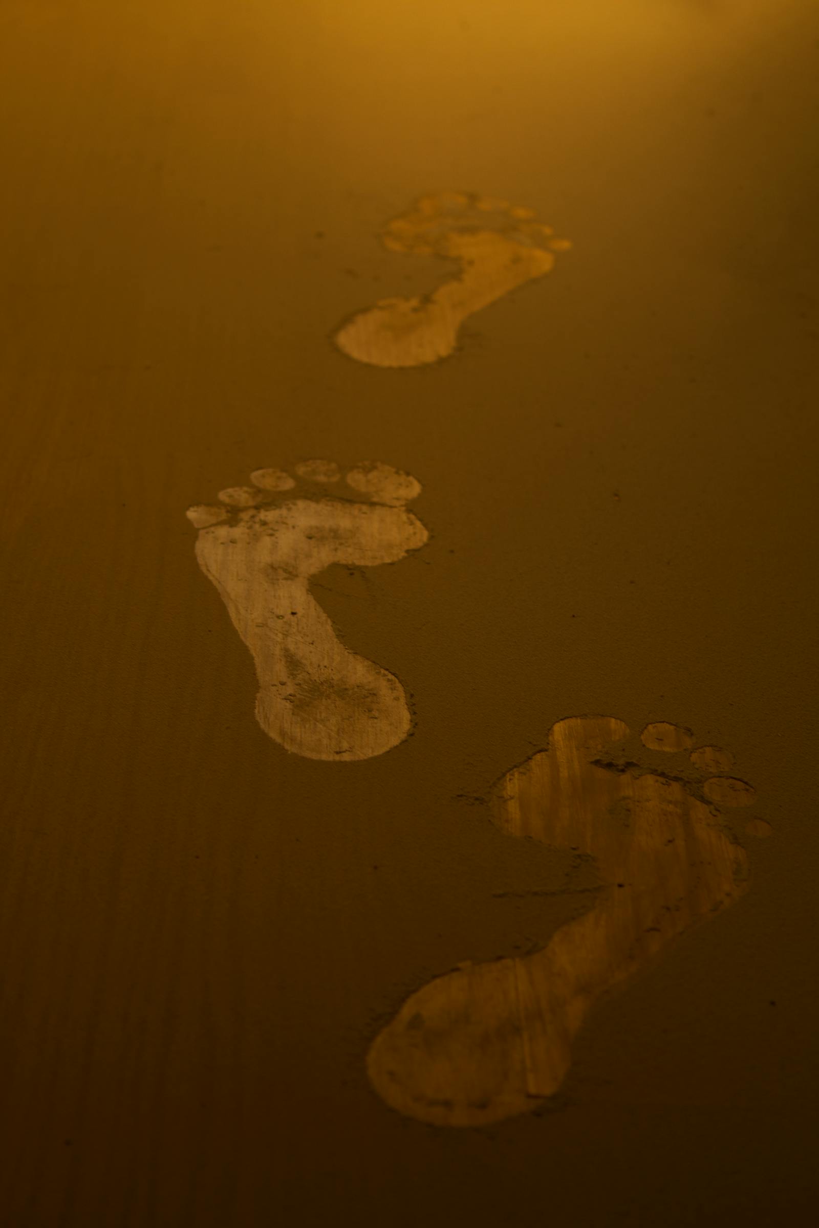 Wet Footprints Horror Floor Photos, Download The BEST Free Wet ...