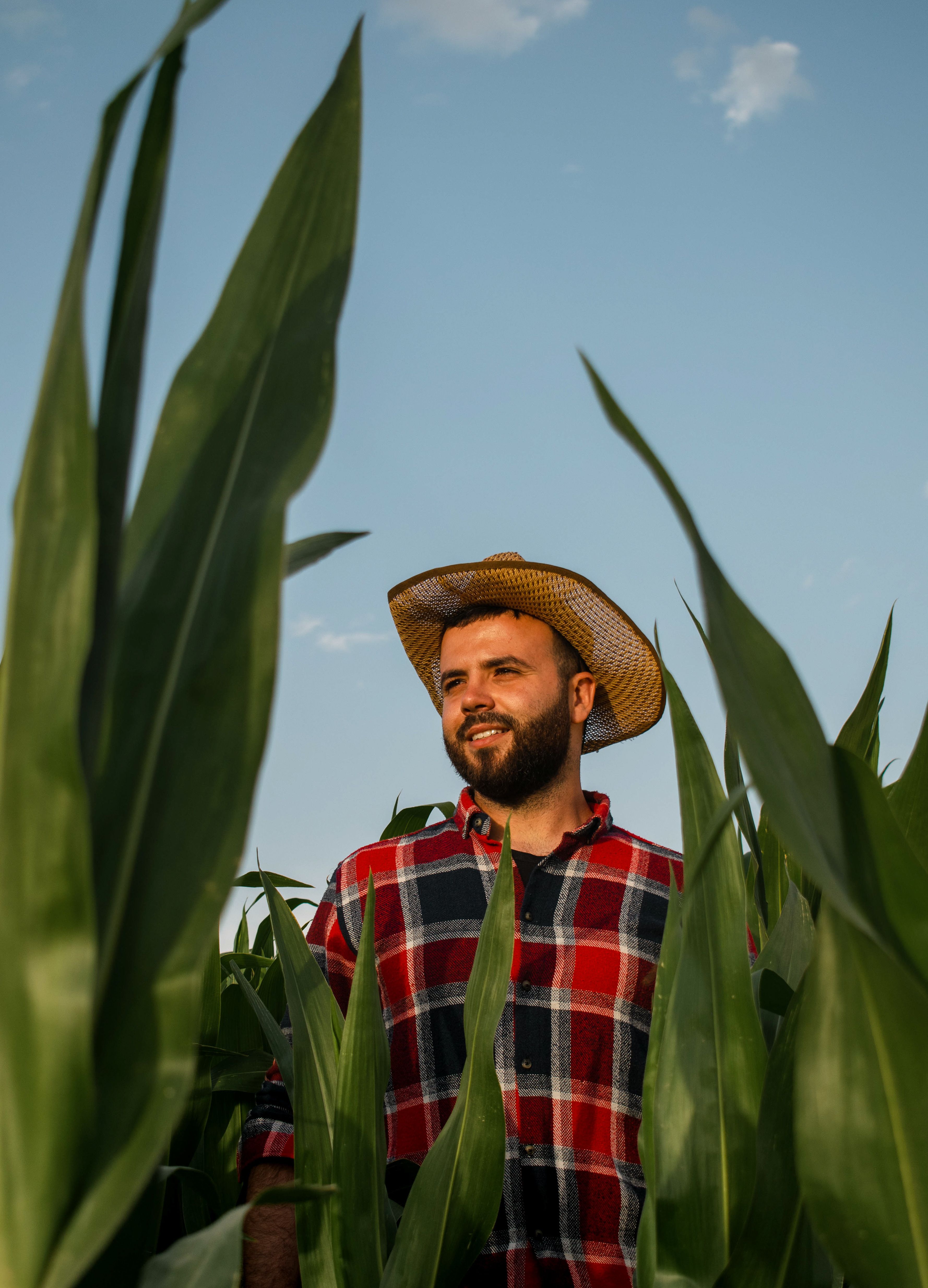 Portrait of a Farmer in a Cornfield at Sunset · Free Stock Photo