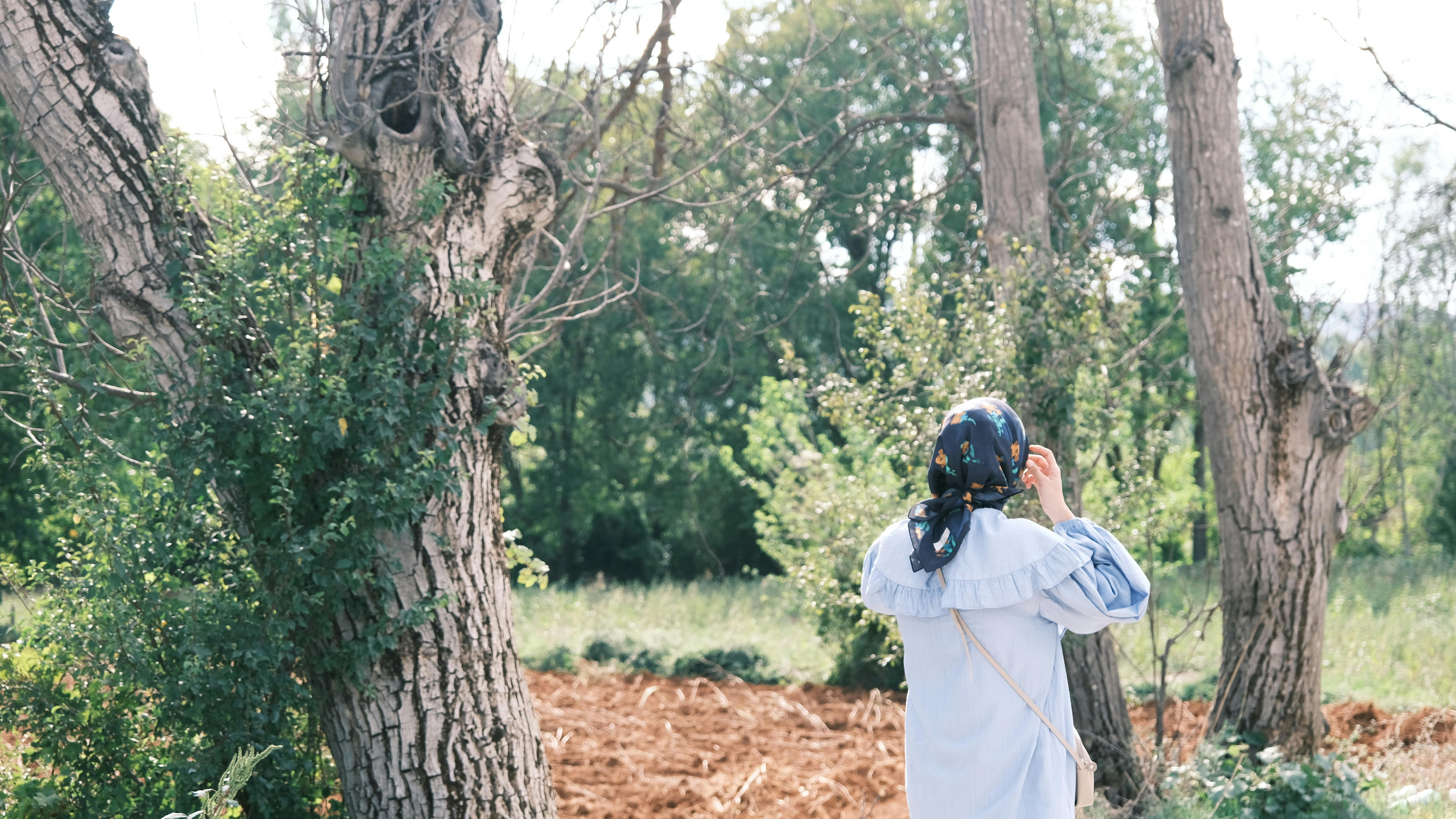 Bleeding Back Photos, Download The BEST Free Bleeding Back Stock Photos ...