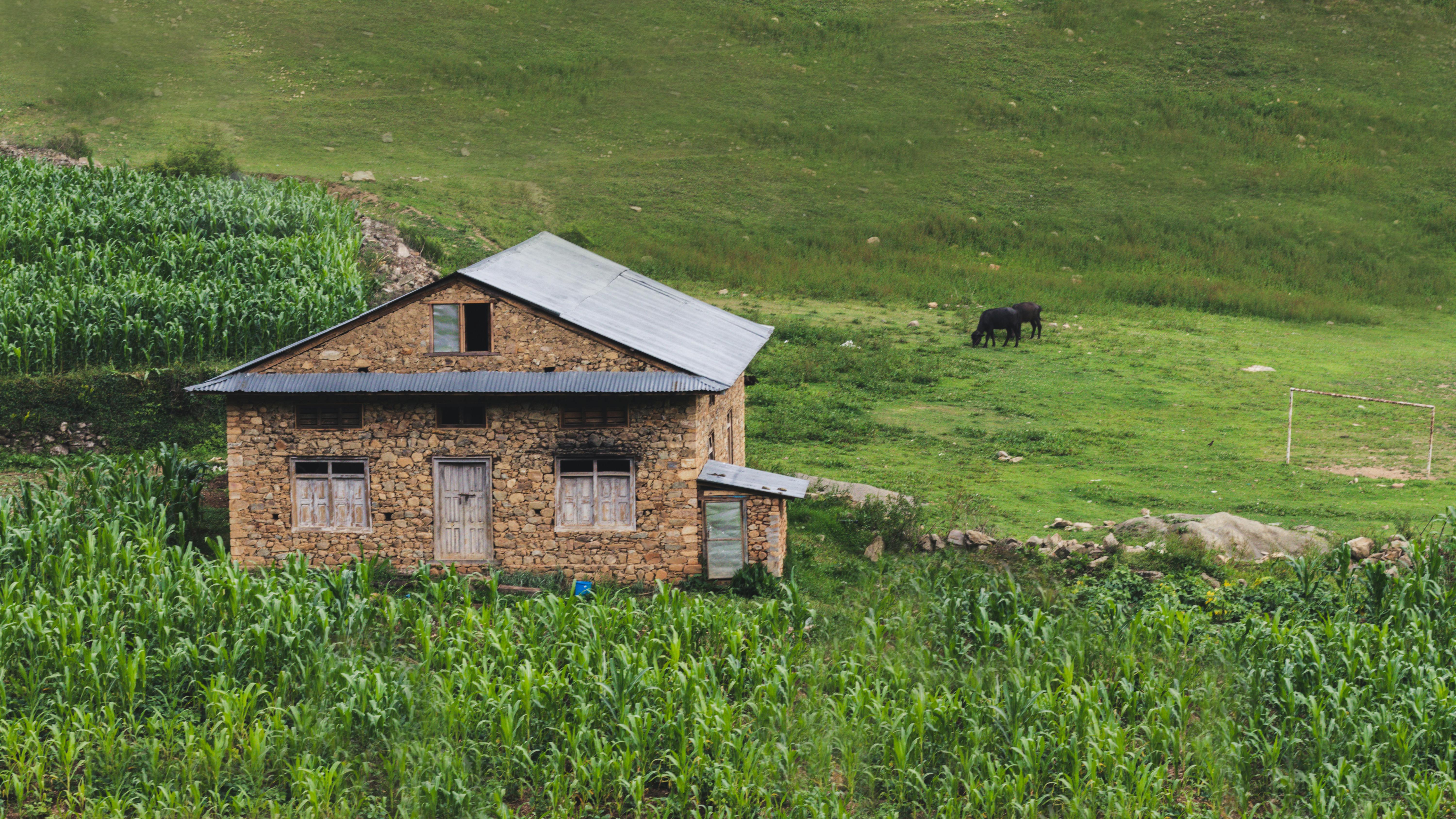 Brown and White Concrete House Surrounded by Grass · Free Stock Photo
