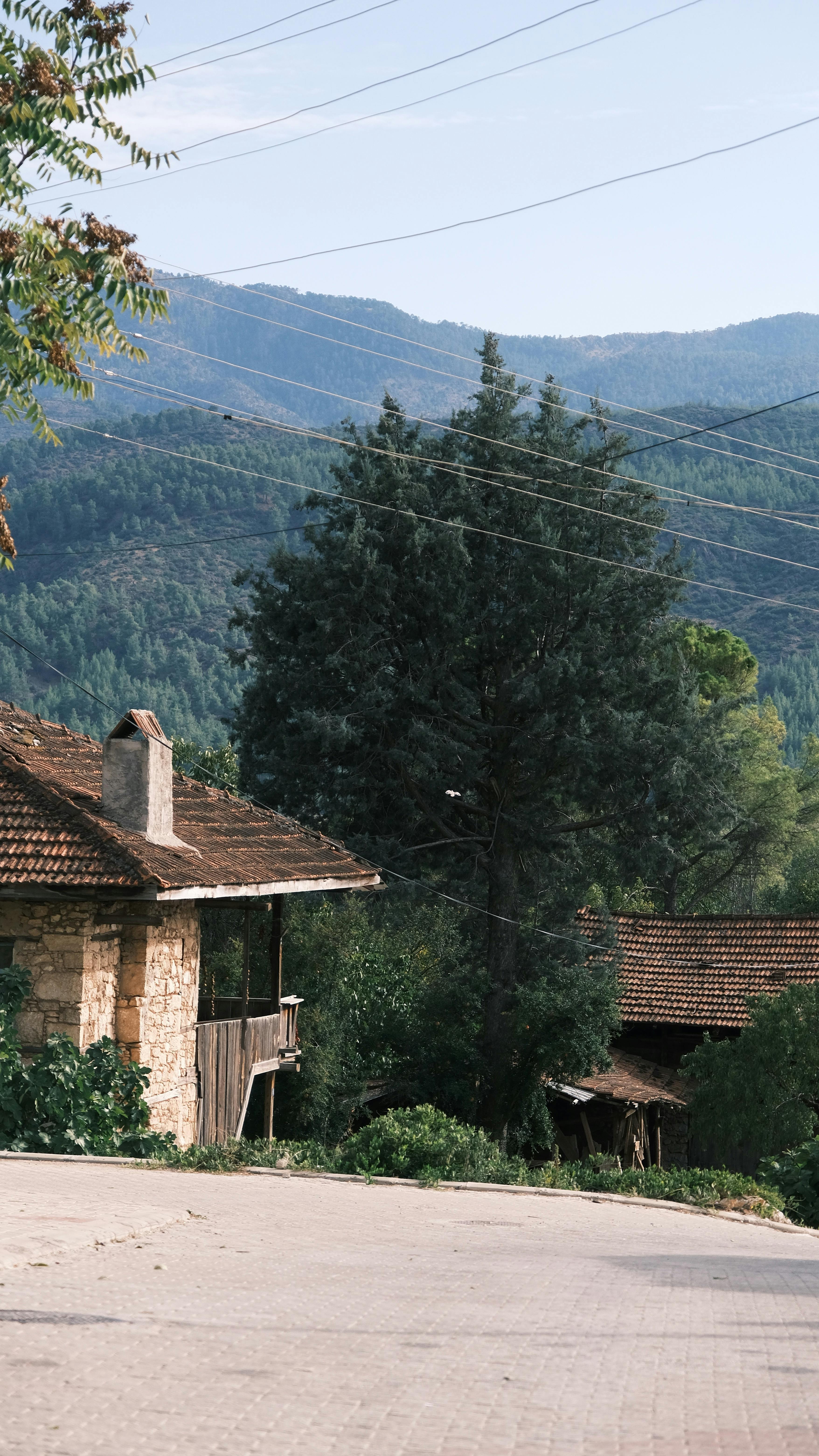 Rustic Mountain Village with Traditional Houses · Free Stock Photo