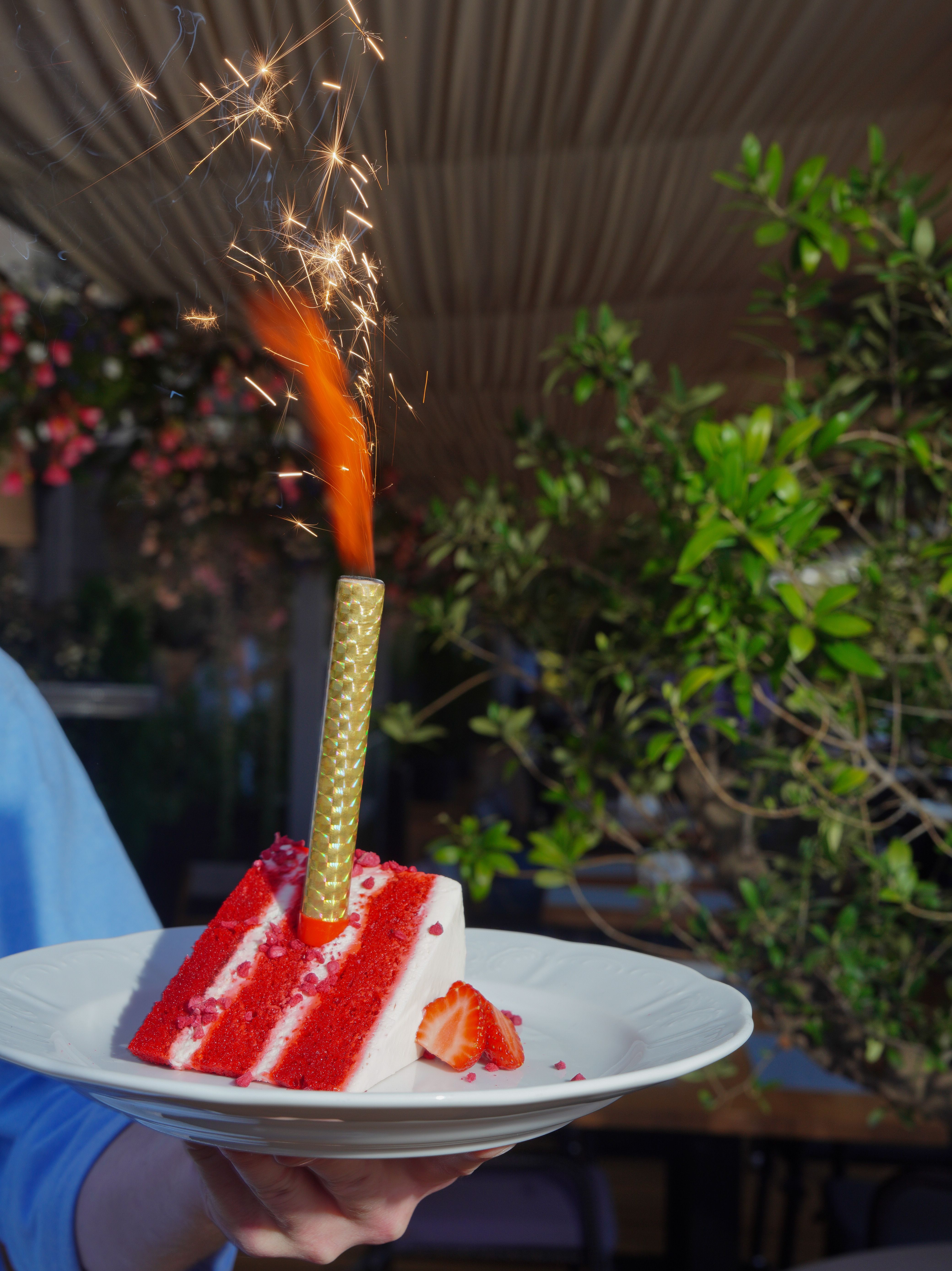 Birthday Cake with Burning Candles · Free Stock Photo