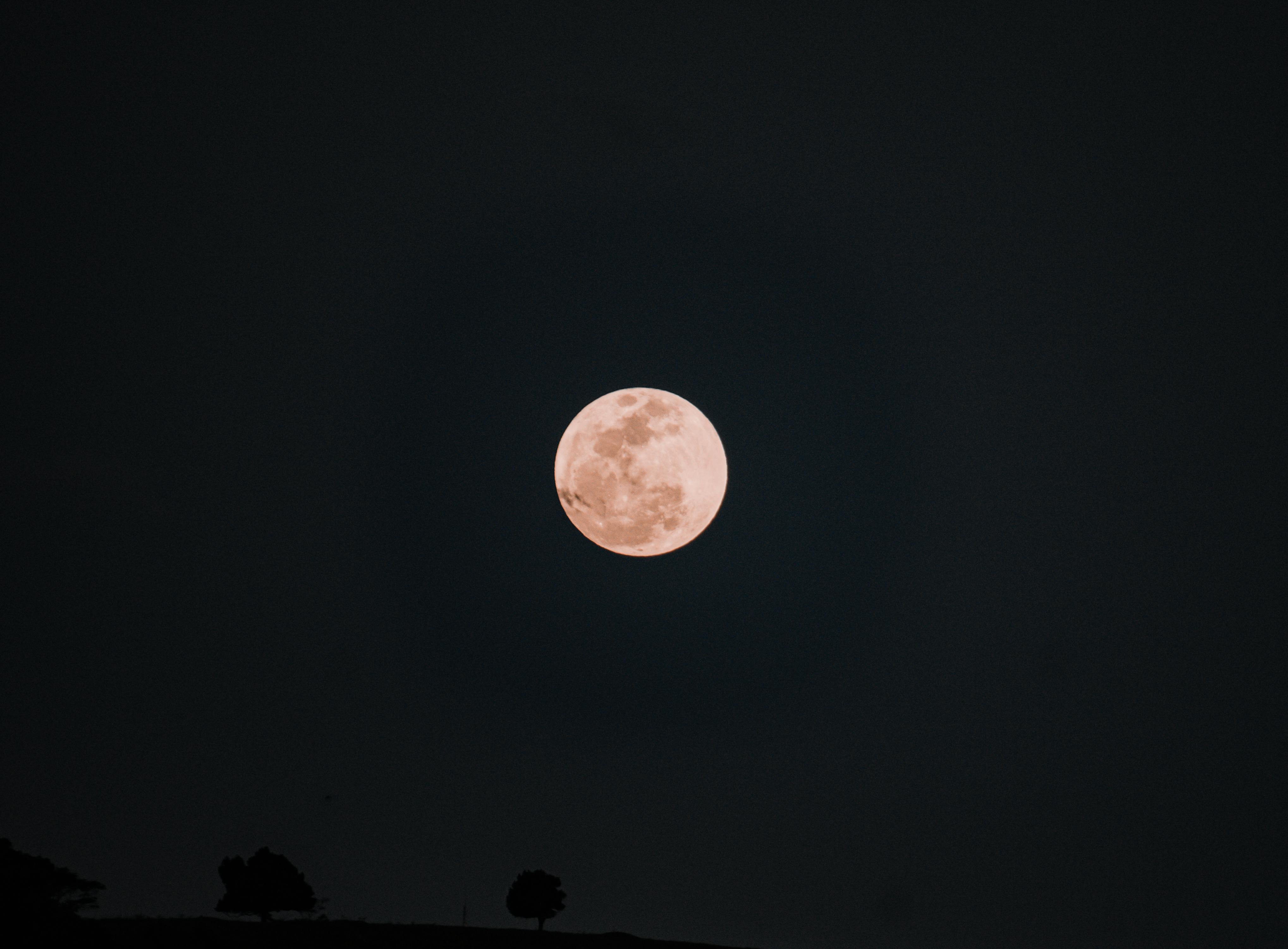 Full Moon Over Night Sky Silhouette · Free Stock Photo