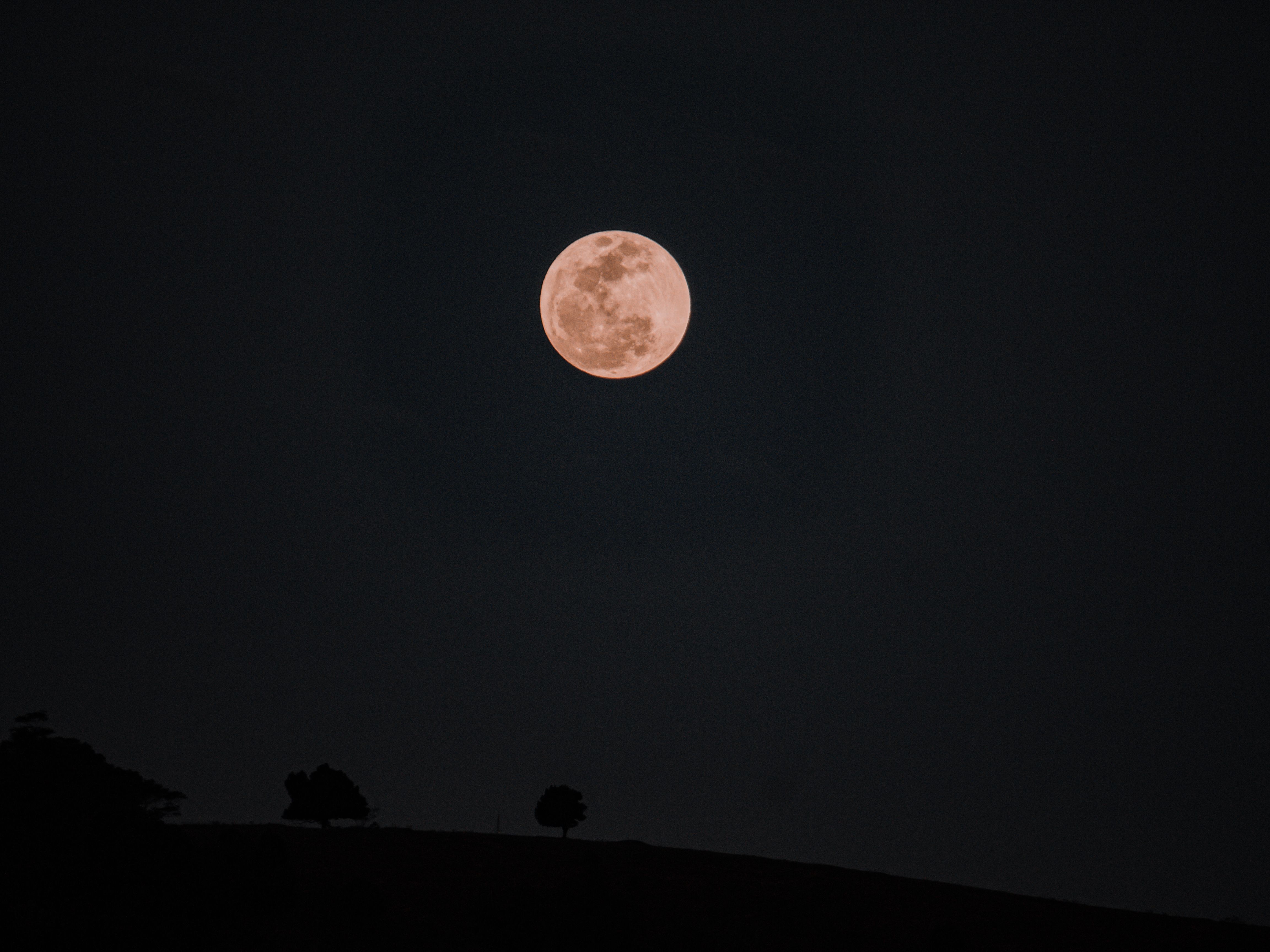Lunar Astro Photos, Download The BEST Free Lunar Astro Stock Photos ...