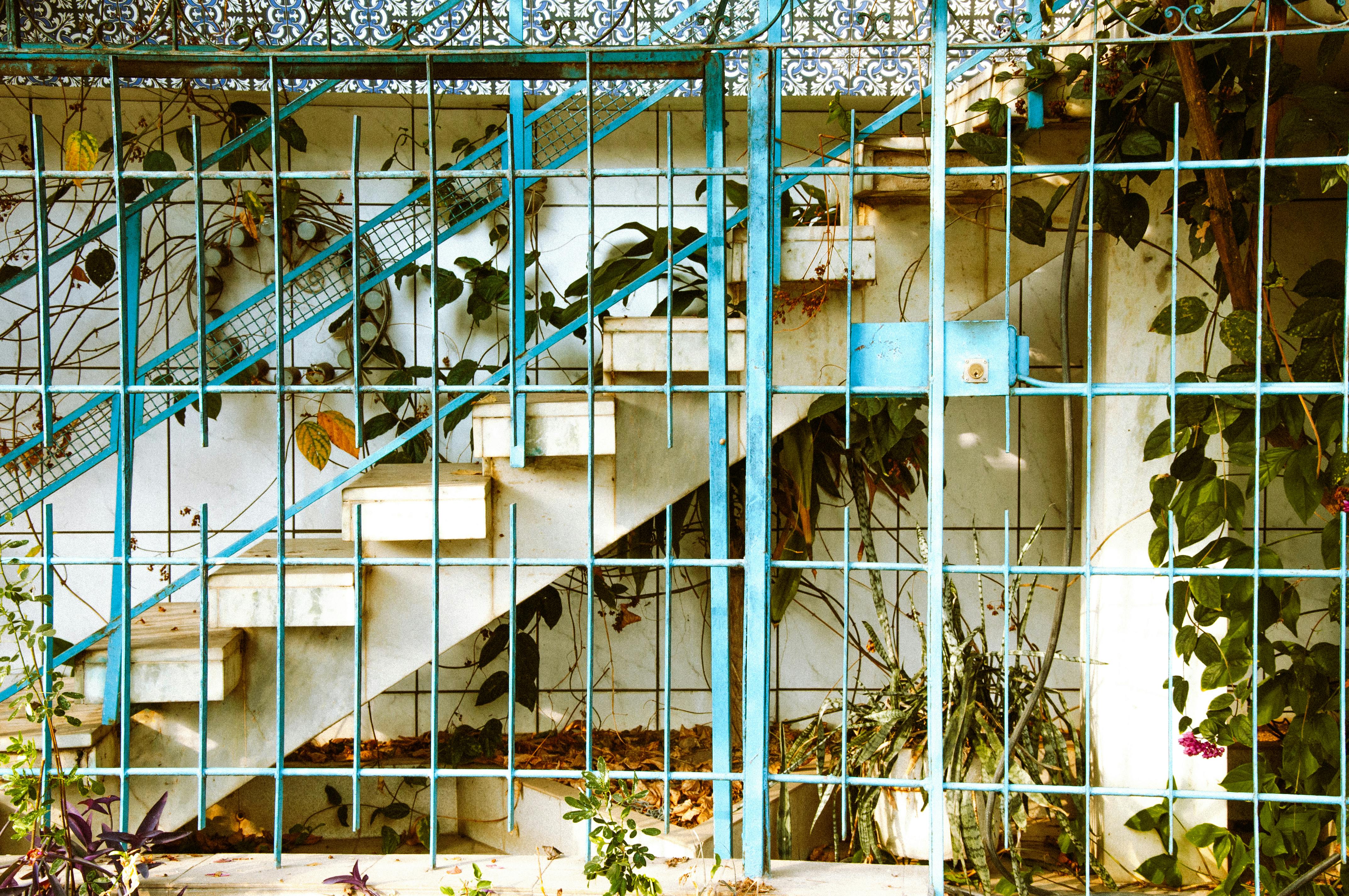 Charming Outdoor Staircase with Blue Railings · Free Stock Photo