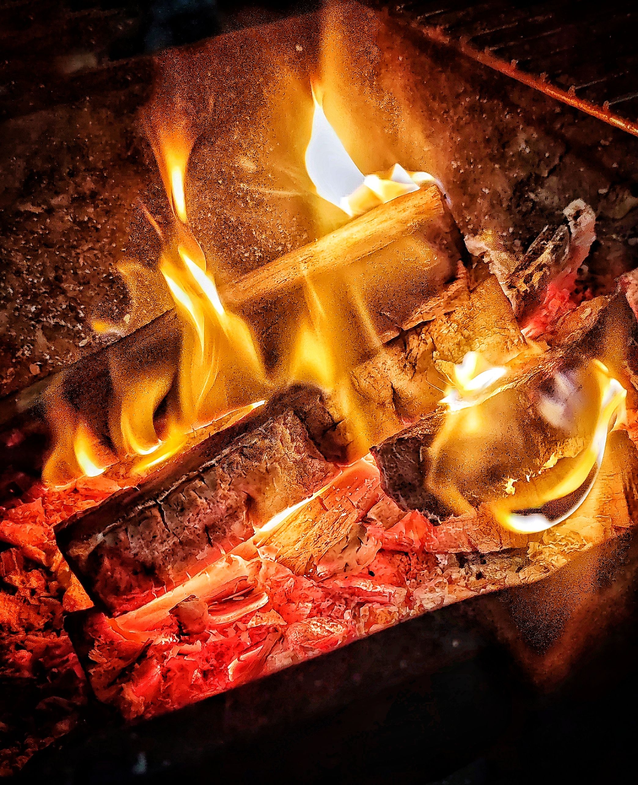 Warm Crackling Fire with Glowing Logs · Free Stock Photo