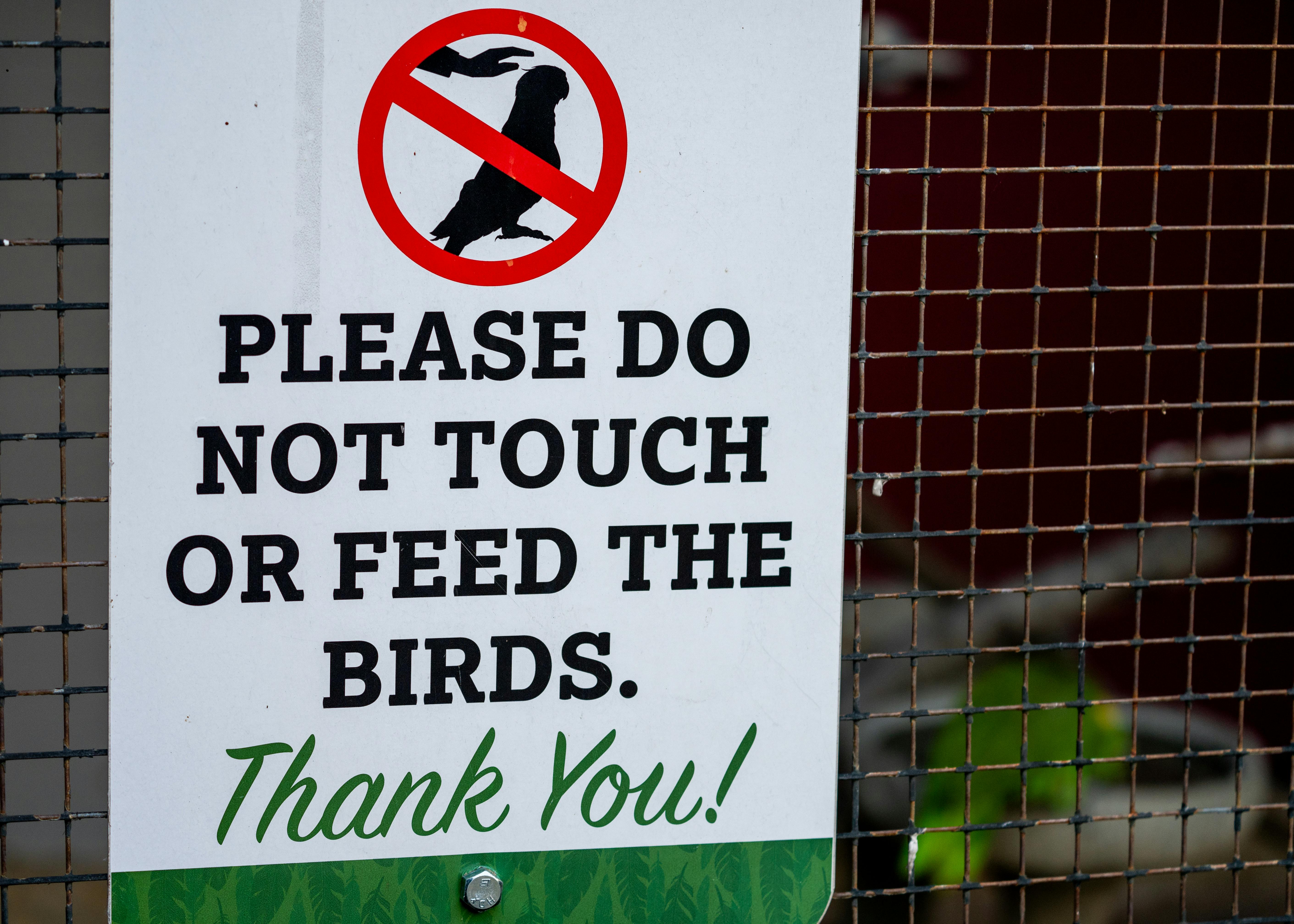 Safety Warning Sign: Do Not Touch or Feed Birds · Free Stock Photo