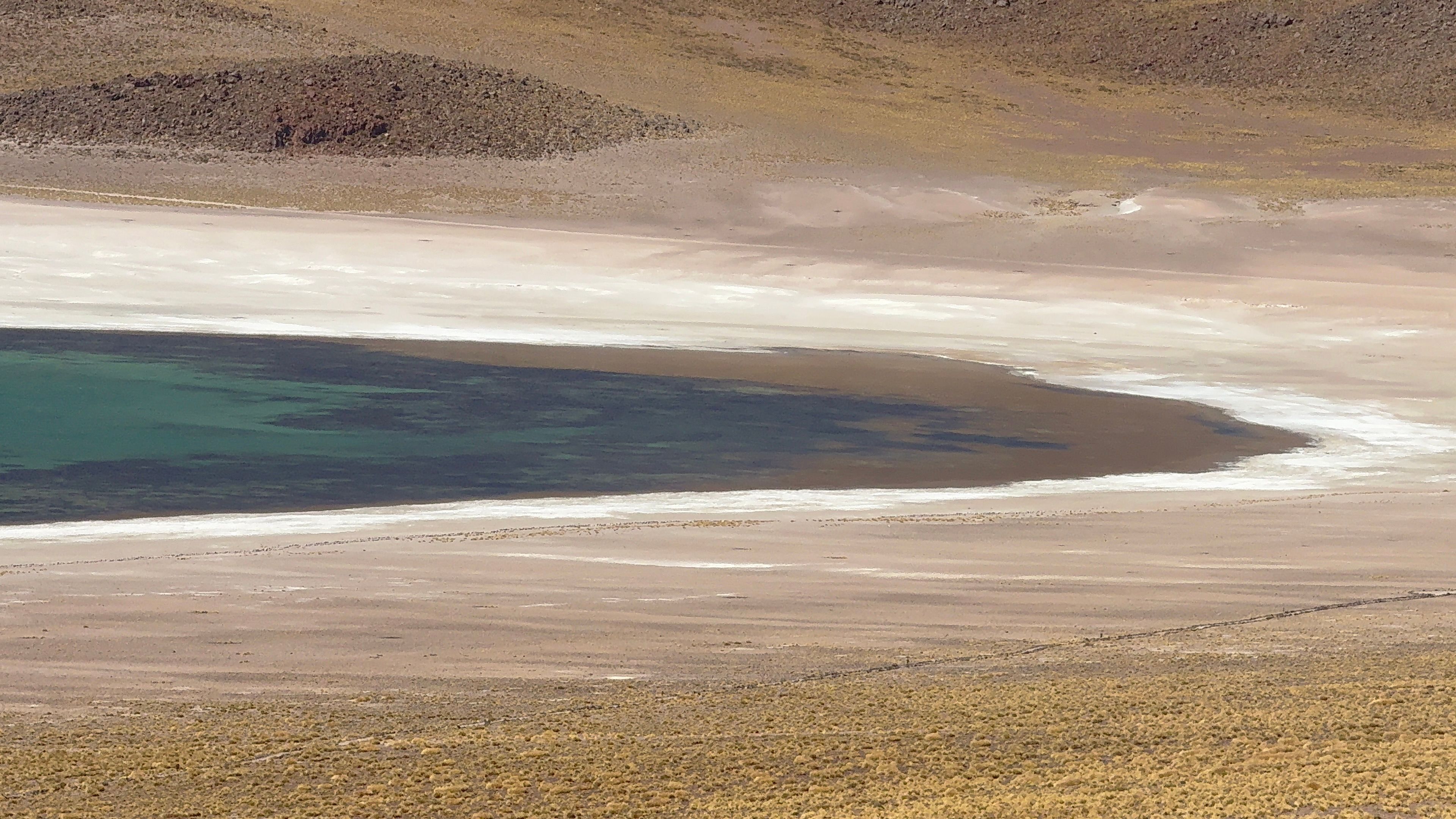 Scenic Desert Landscape with Salt Flats and Water · Free Stock Photo